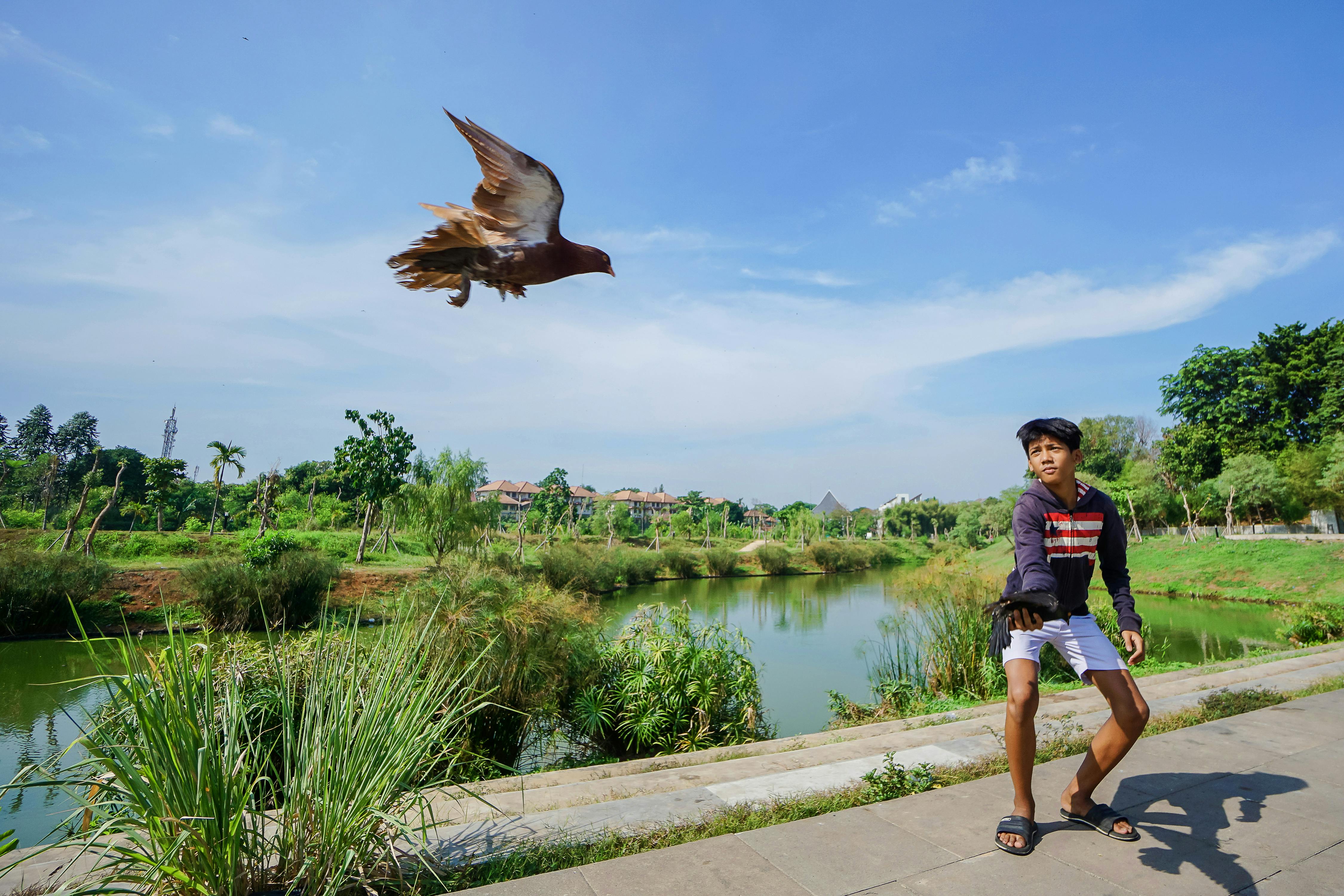 Young Boy Releases Bird Near Scenic Riverbank · Free Stock Photo