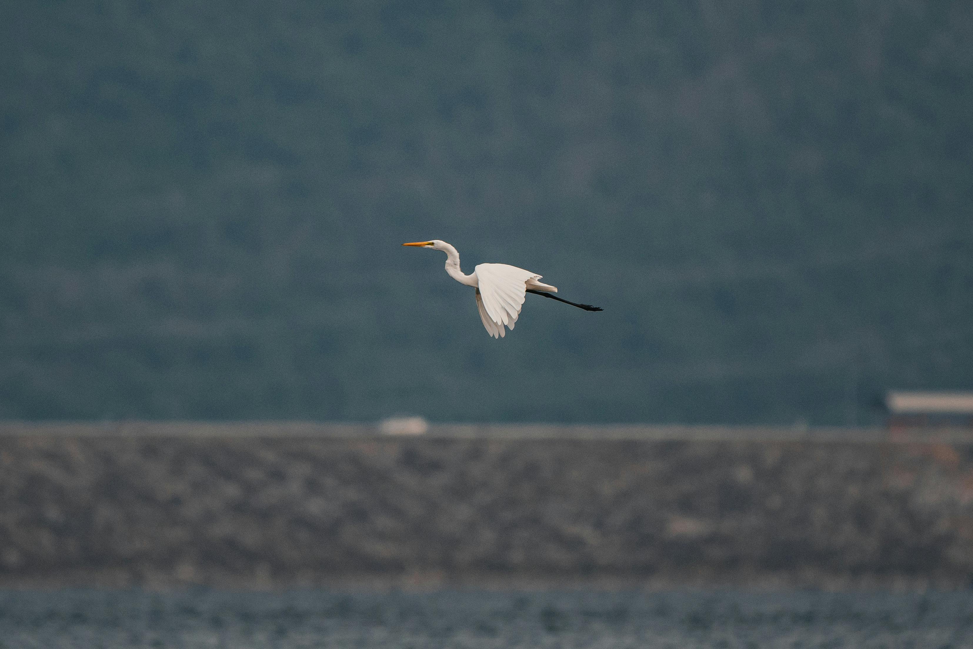 Elearning Picture Photos, Download The BEST Free Elearning Picture ...