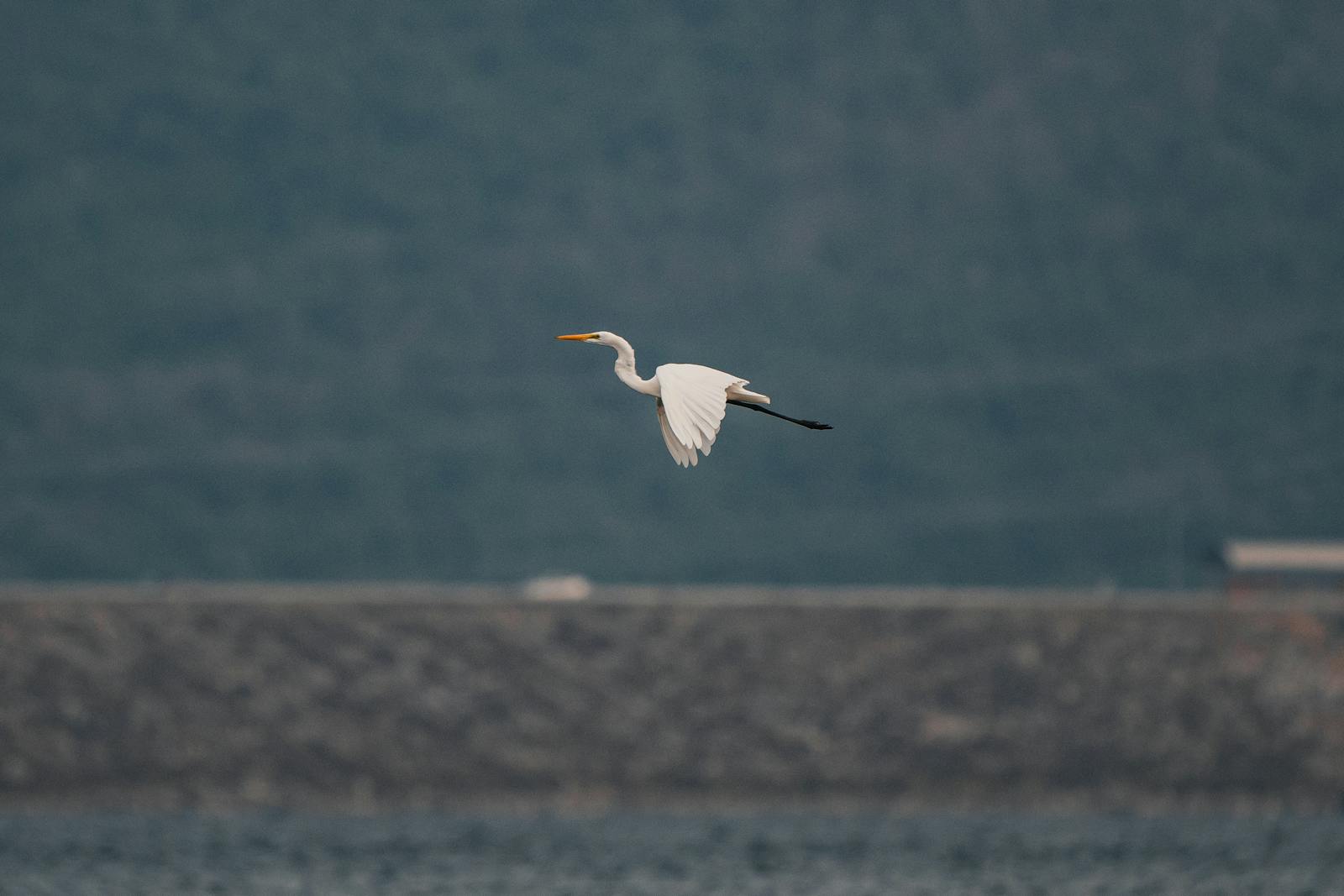 Free Profile Picture Photos, Download The BEST Free Free Profile ...