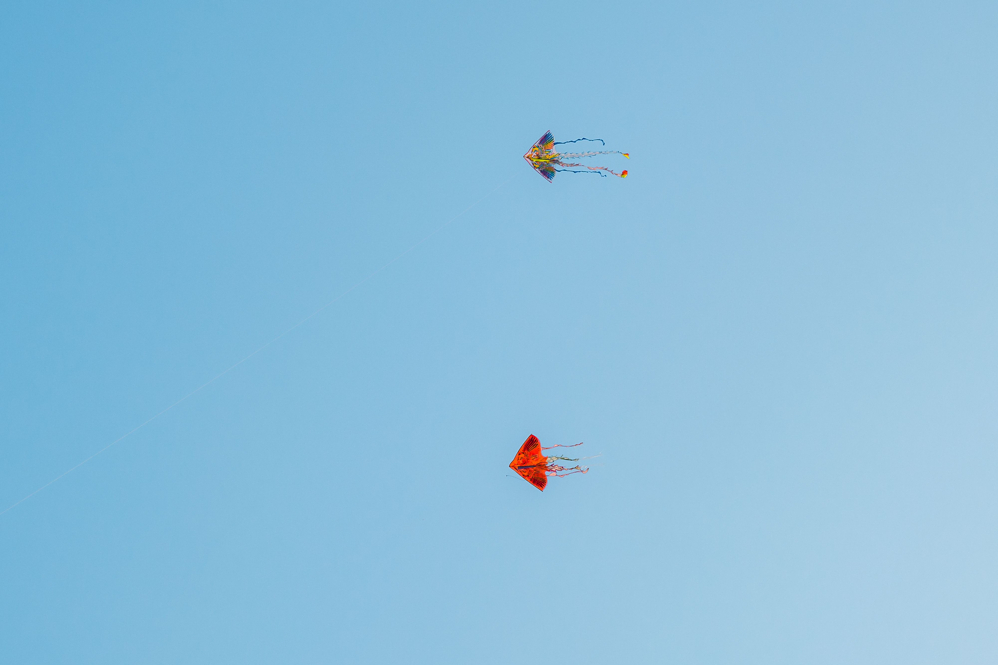 Kite Geo Photos, Download The BEST Free Kite Geo Stock Photos & HD Images
