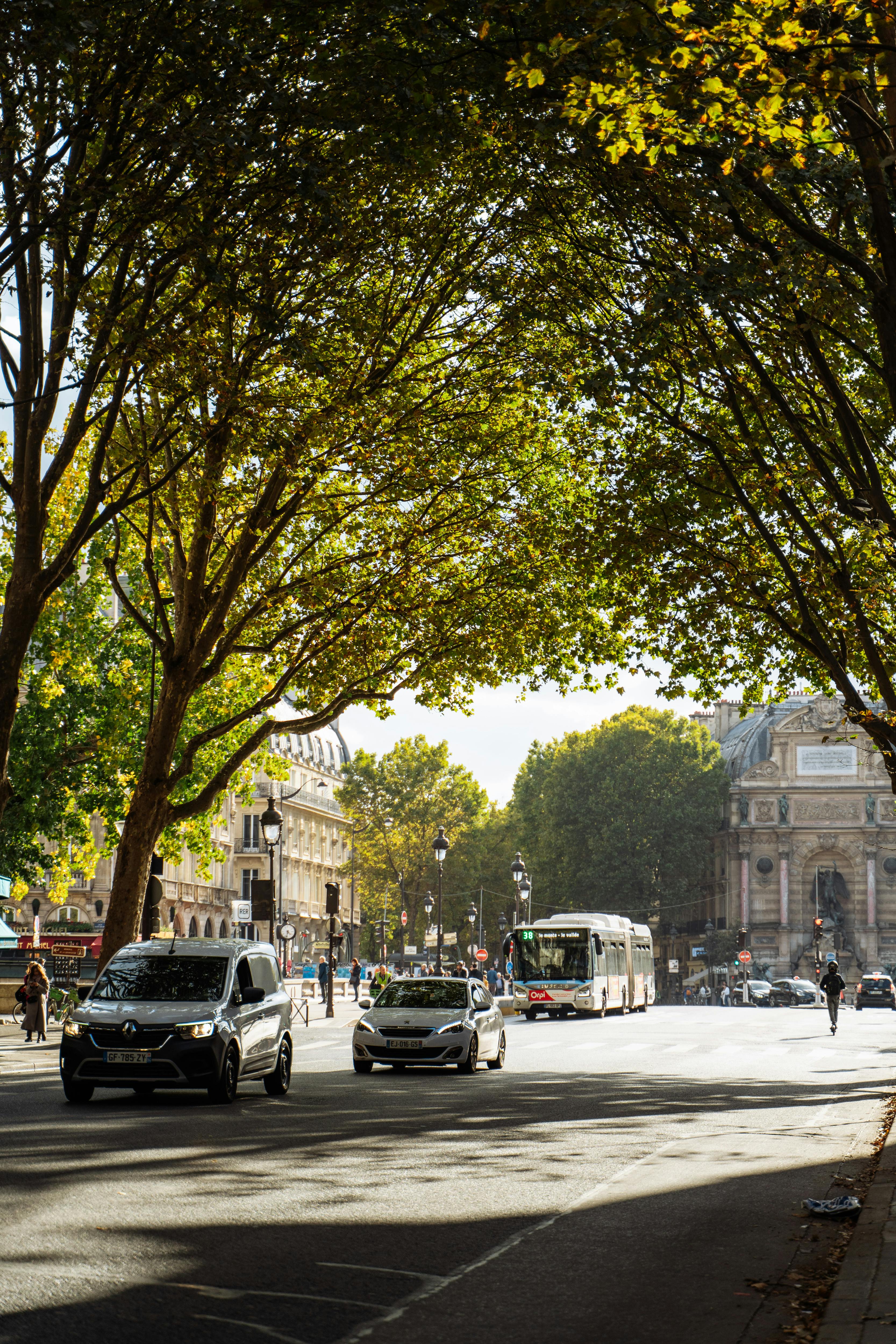 Charming Tree-Lined Street in Paris · Free Stock Photo