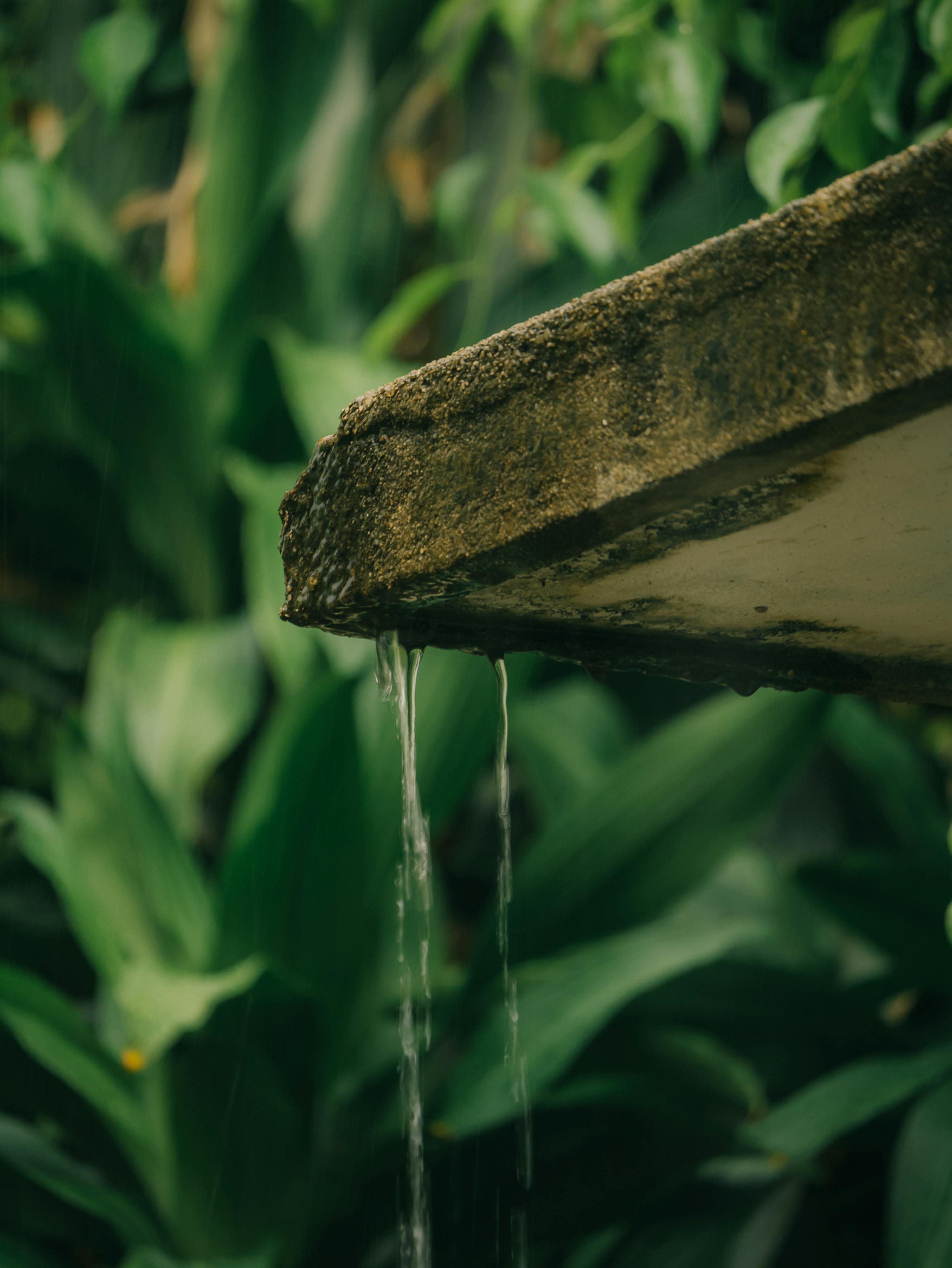 Tropical Rainwater Dripping from Concrete Roof · Free Stock Photo