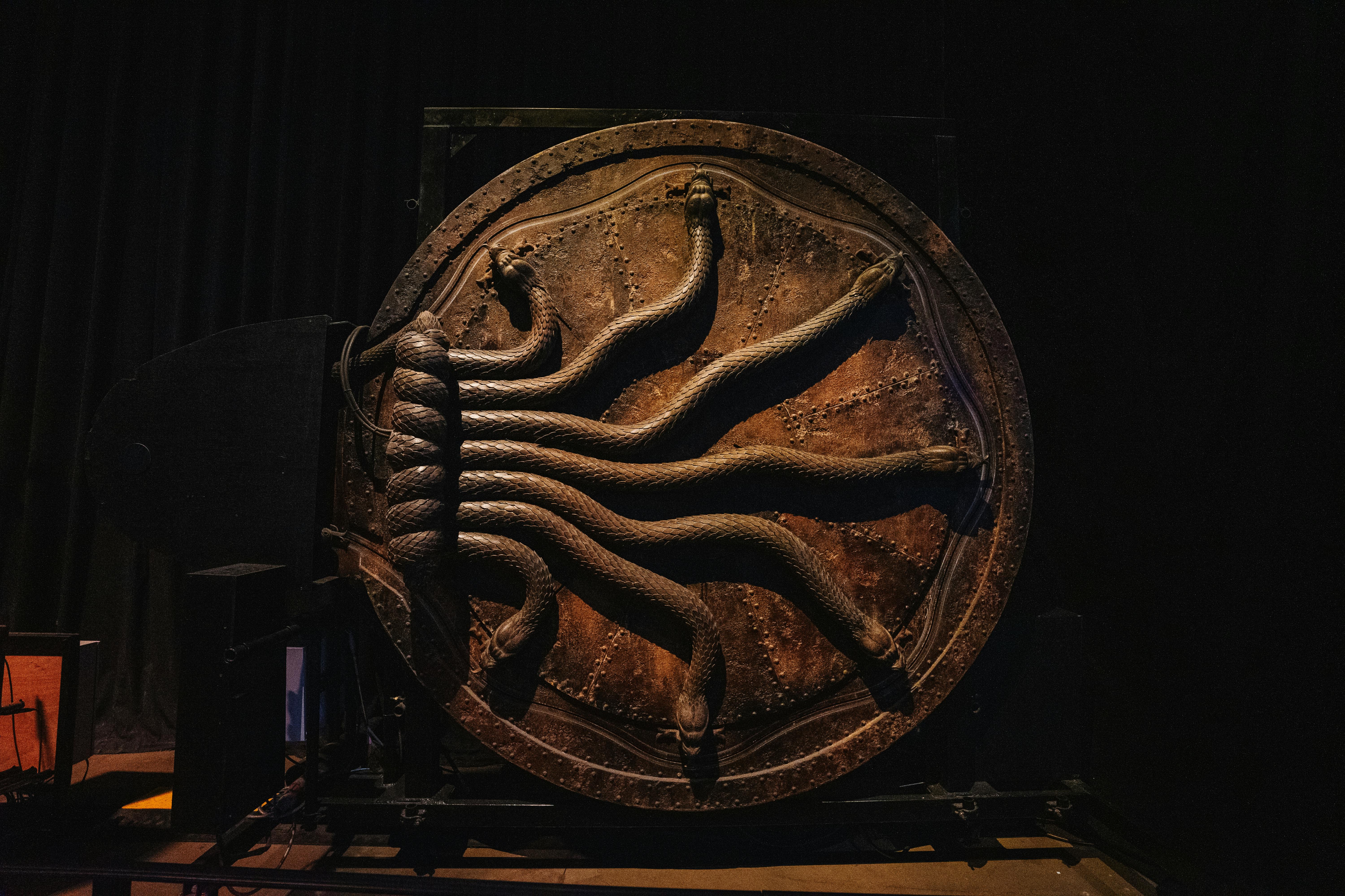 Decorative Vintage Door with Snake Motif · Free Stock Photo