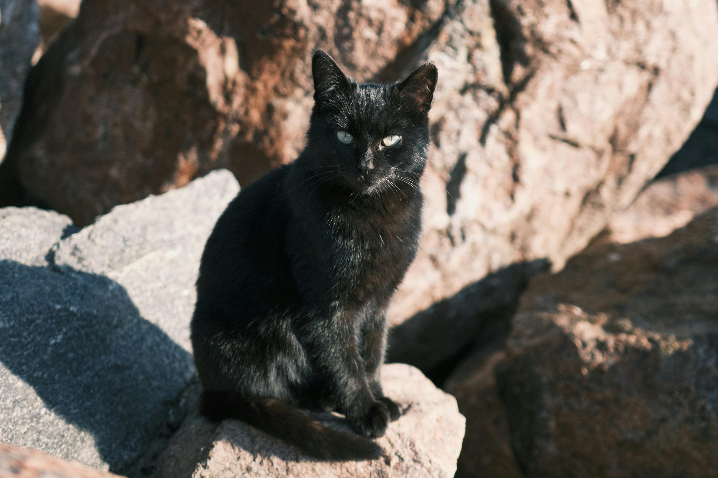 Incredible Snapshot Photos, Download The BEST Free Incredible Snapshot ...