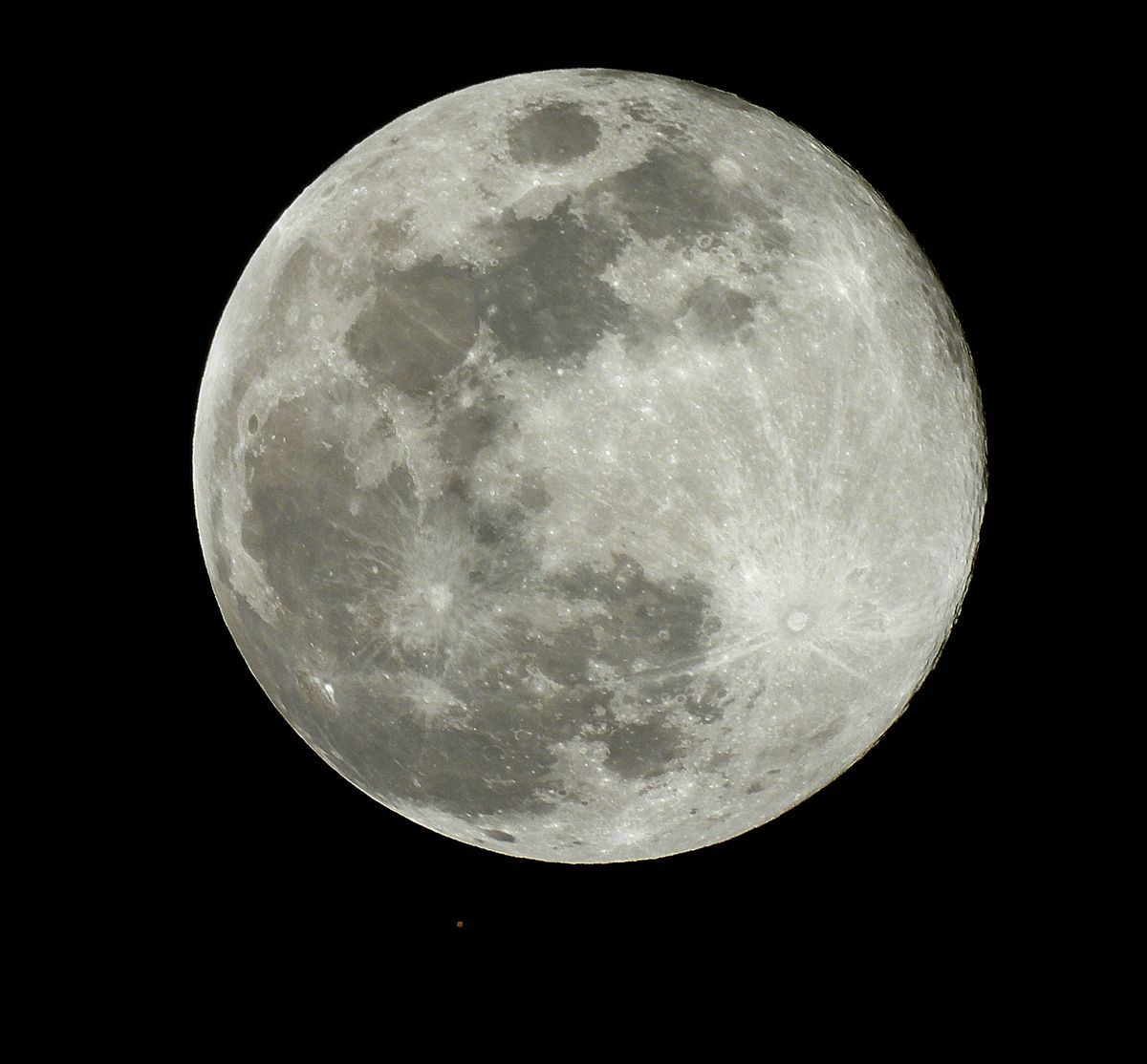 Moon Profile Picture Photos, Download The BEST Free Moon Profile ...