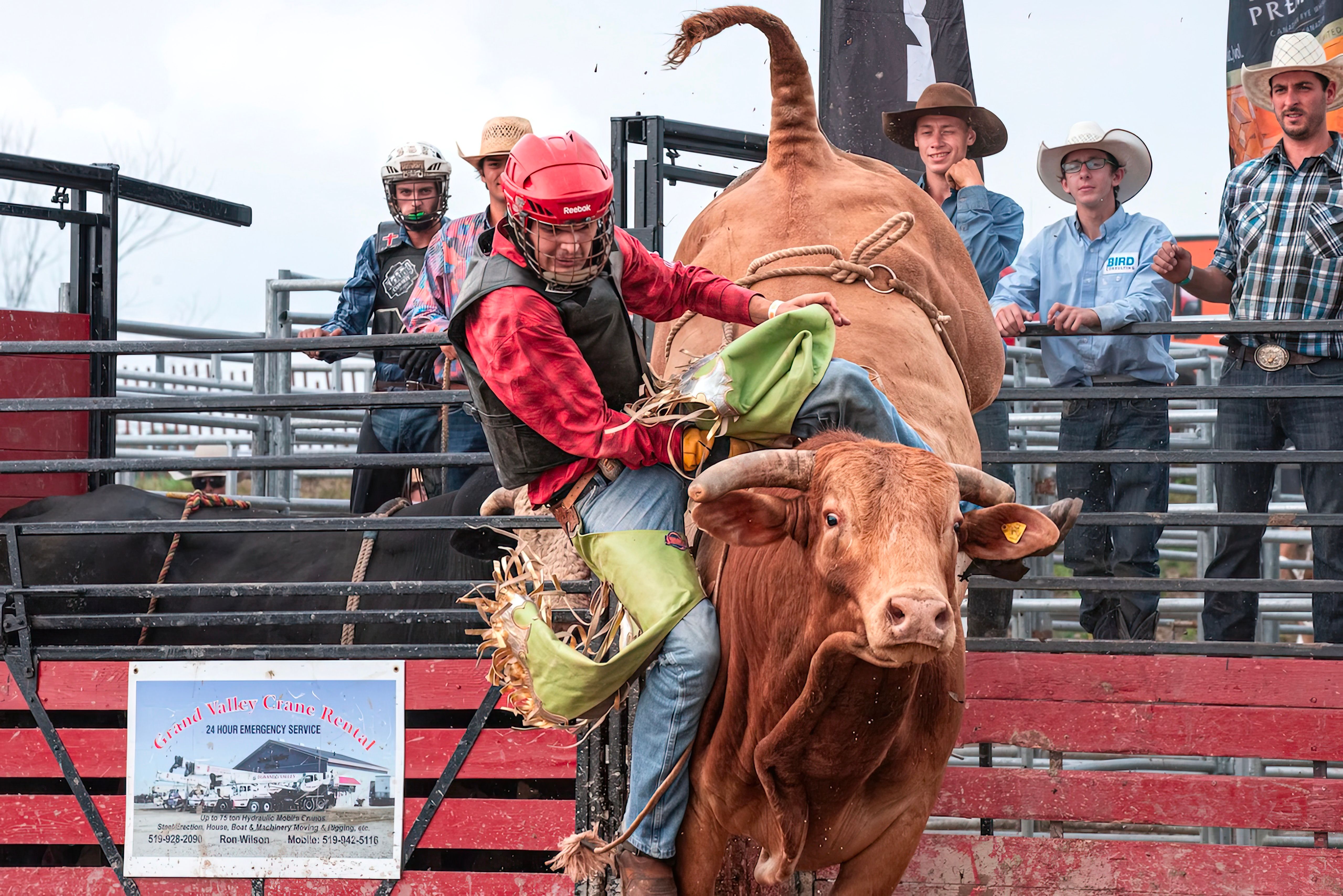 Escena De Acción Dinámica De Monta De Toros En Un Rodeo · Foto de stock ...