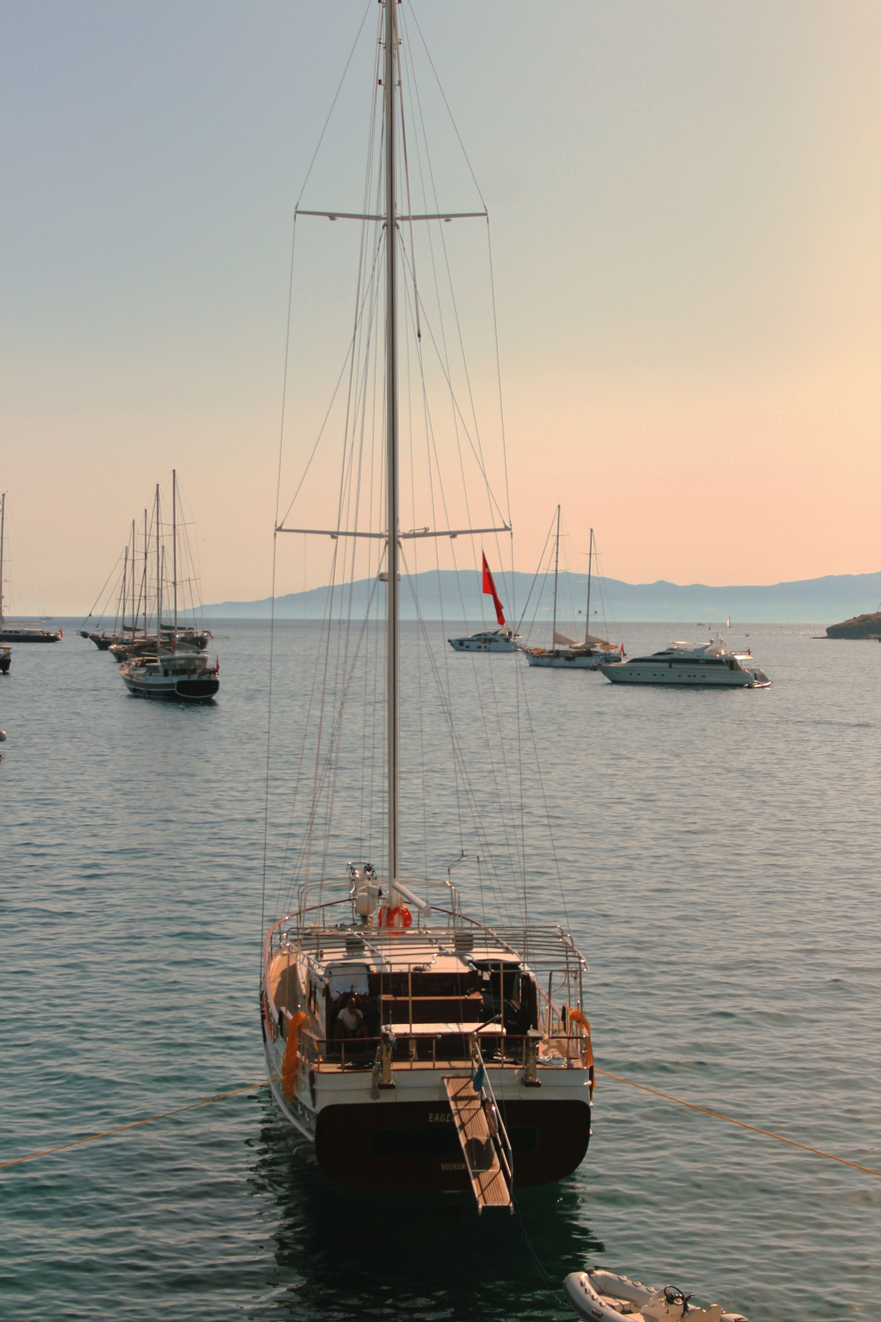 Ceri Anchor Photos, Download The BEST Free Ceri Anchor Stock Photos ...