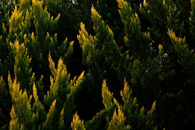 Color: Yellow Photos, Download The BEST Free Color: Yellow Stock Photos ...