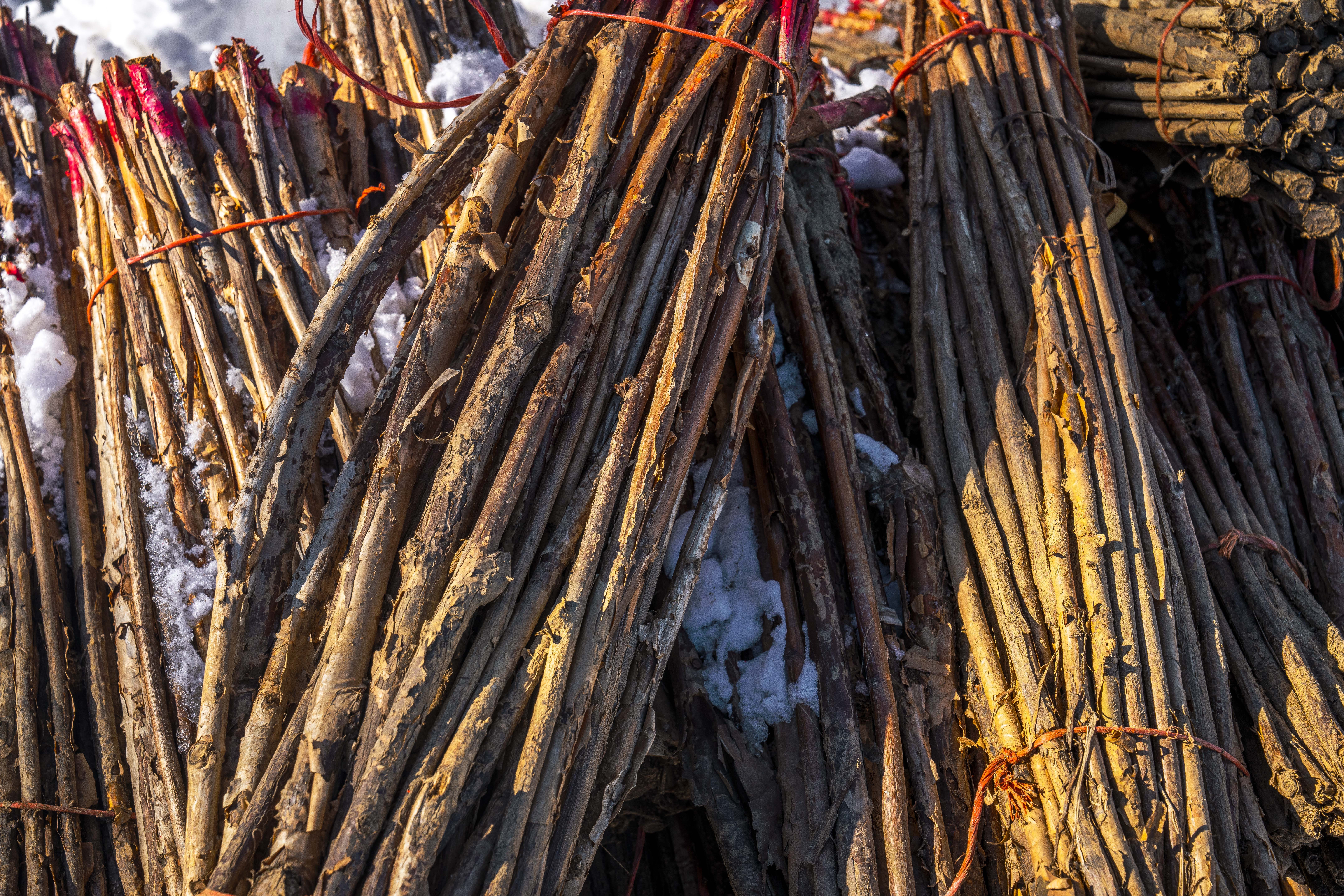Paquetes De Palos De Madera Atados Con Hilo Rojo · Foto de stock gratuita