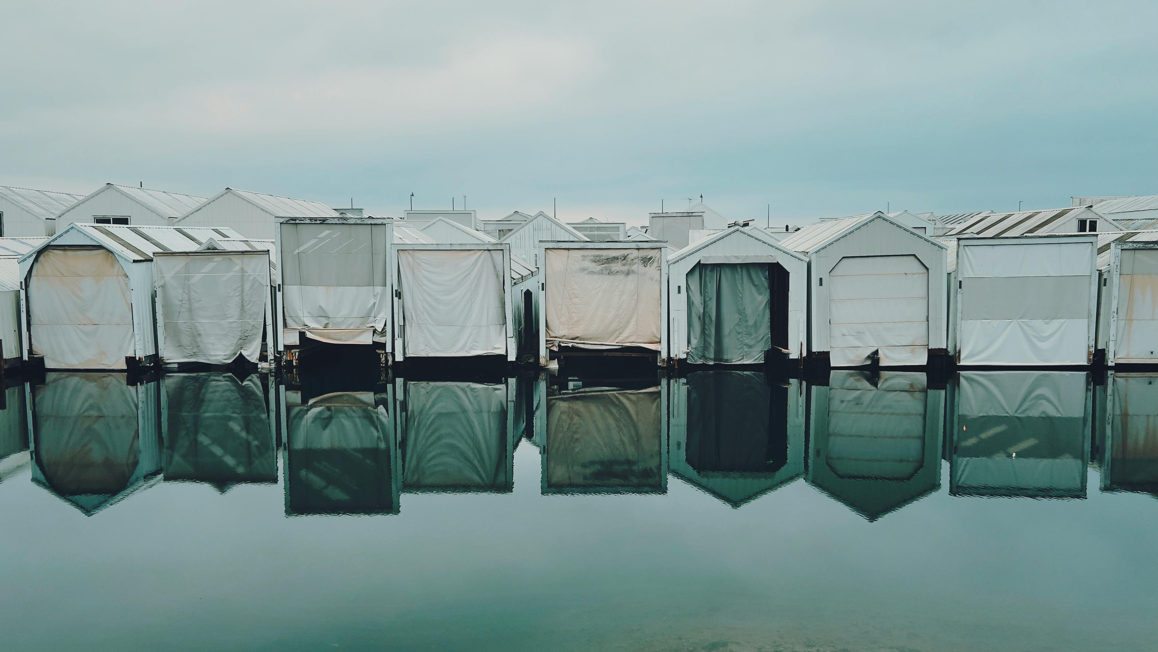 David Lepore - 사진