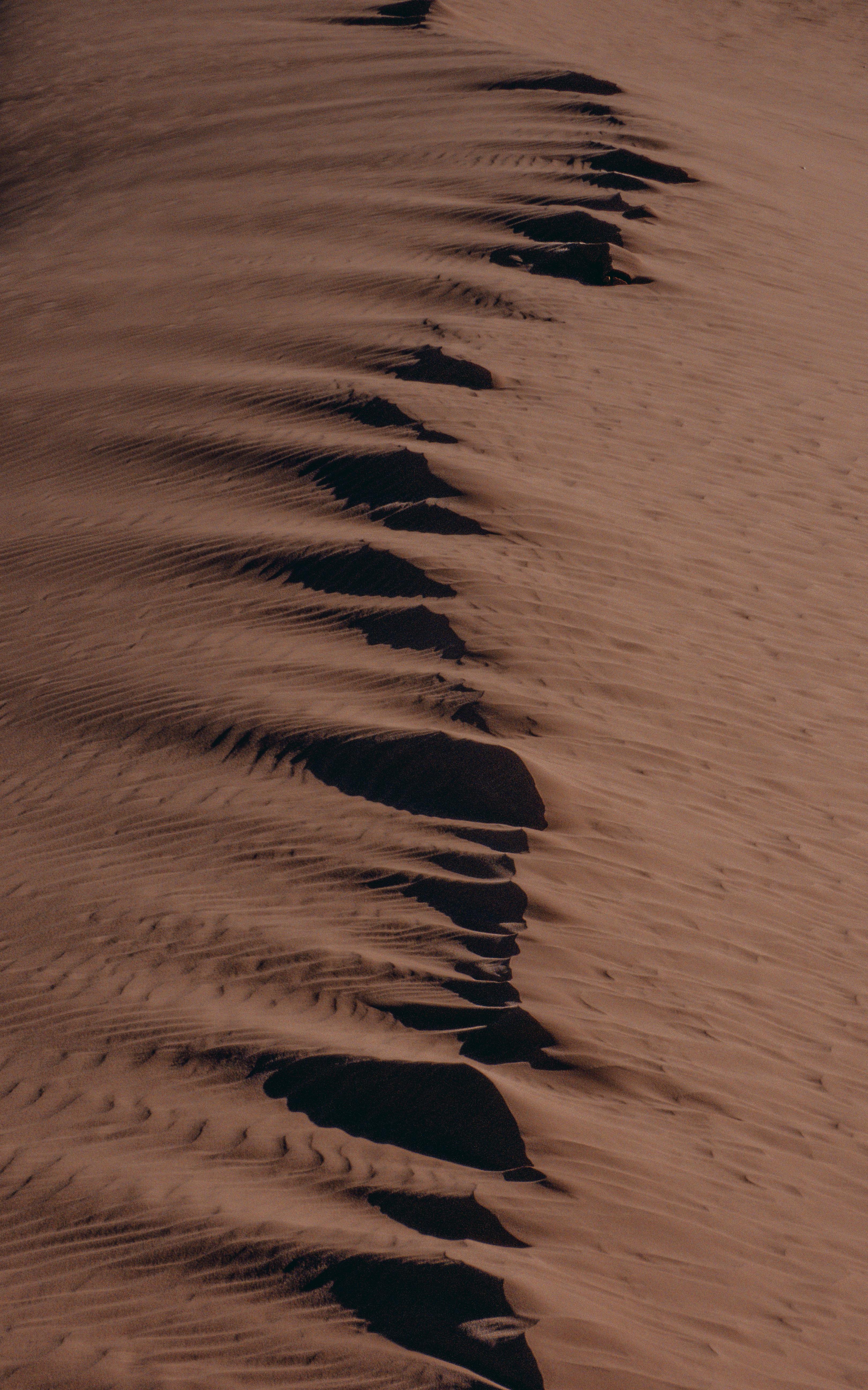 Dramatic Sand Dunes Texture in Algerian Desert · Free Stock Photo