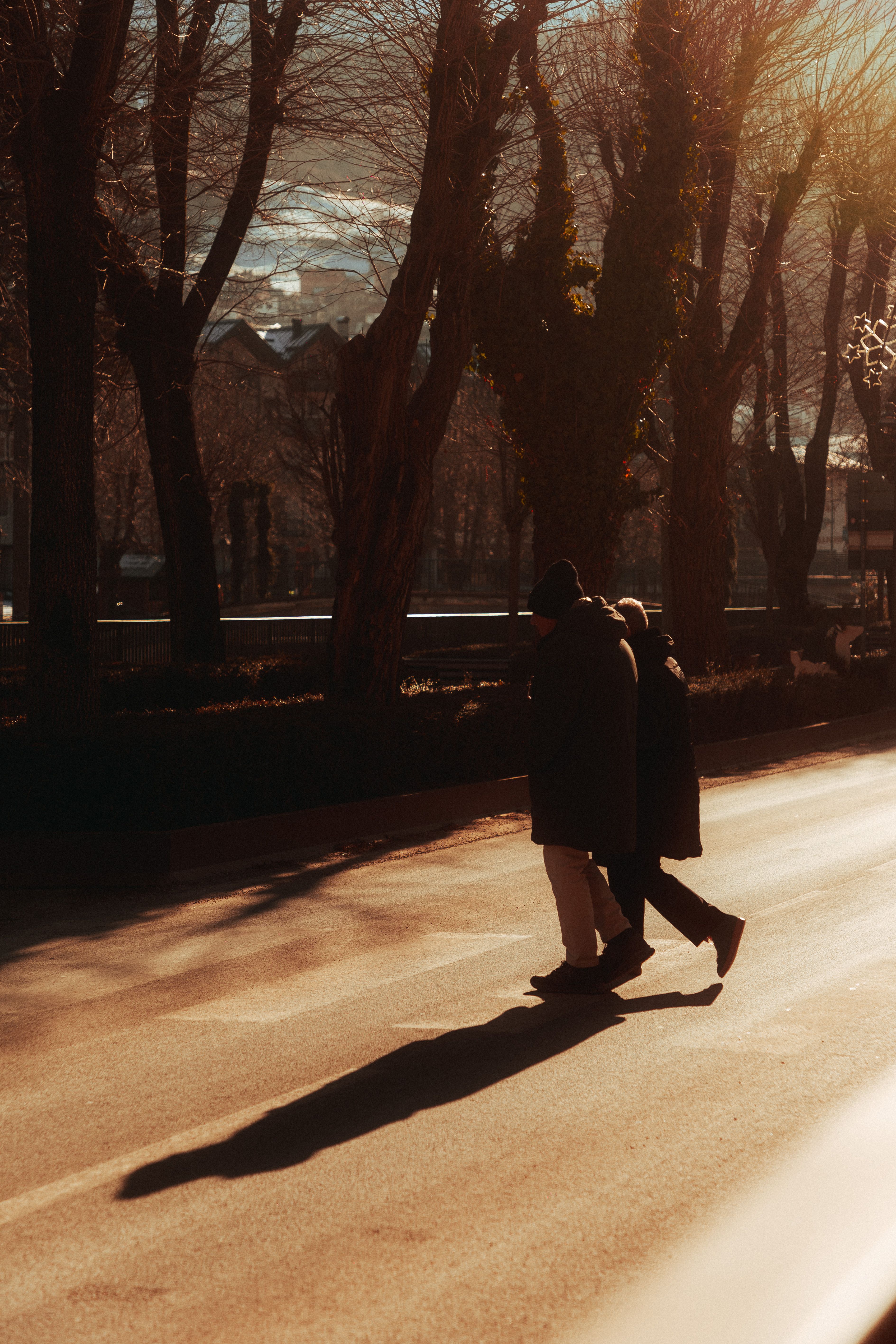Couple Walking in Sunlit Park in Late Afternoon · Free Stock Photo