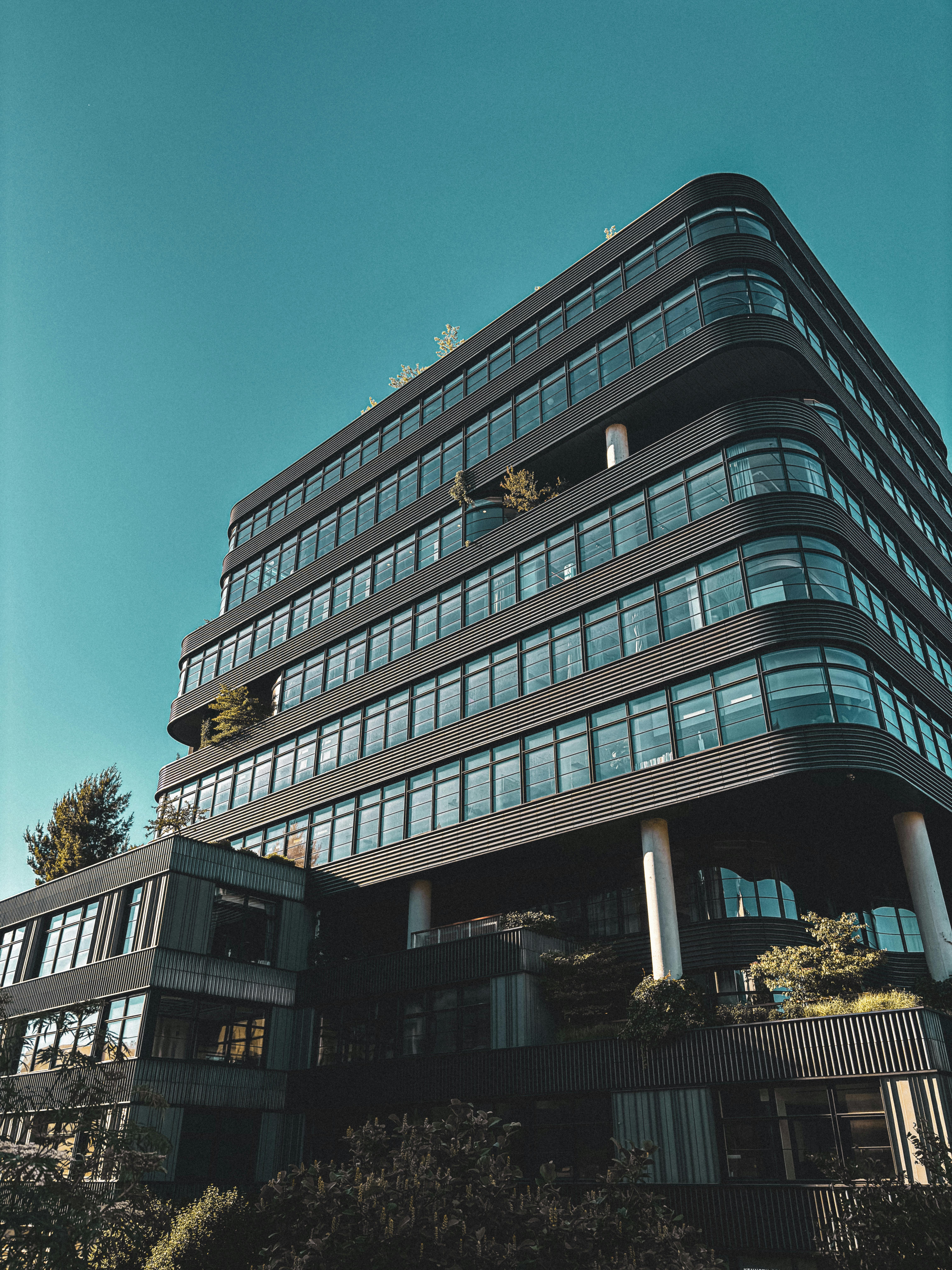 Fernando da Silva - Photography