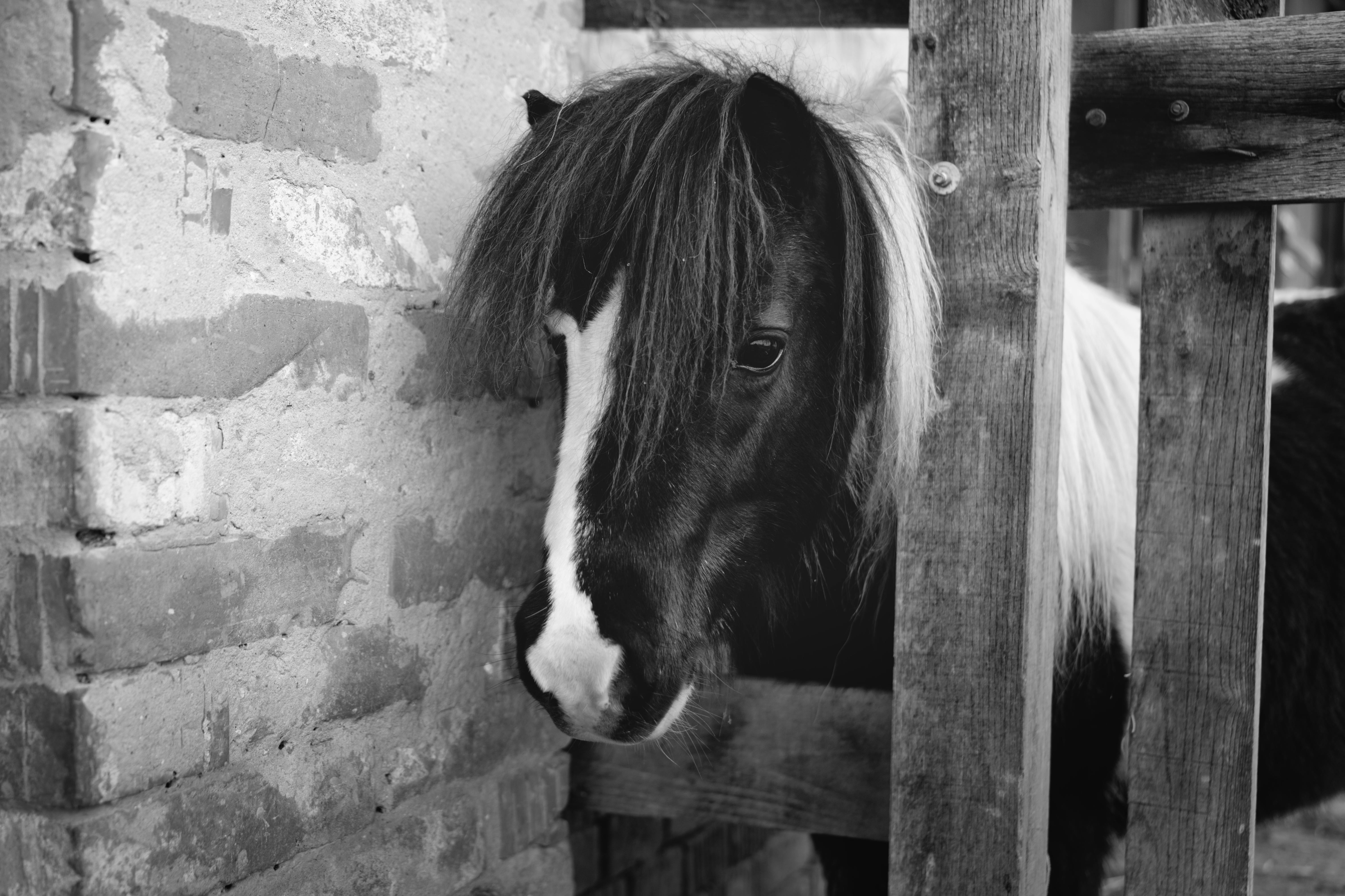 Still Life Barn Photos, Download The BEST Free Still Life Barn Stock ...