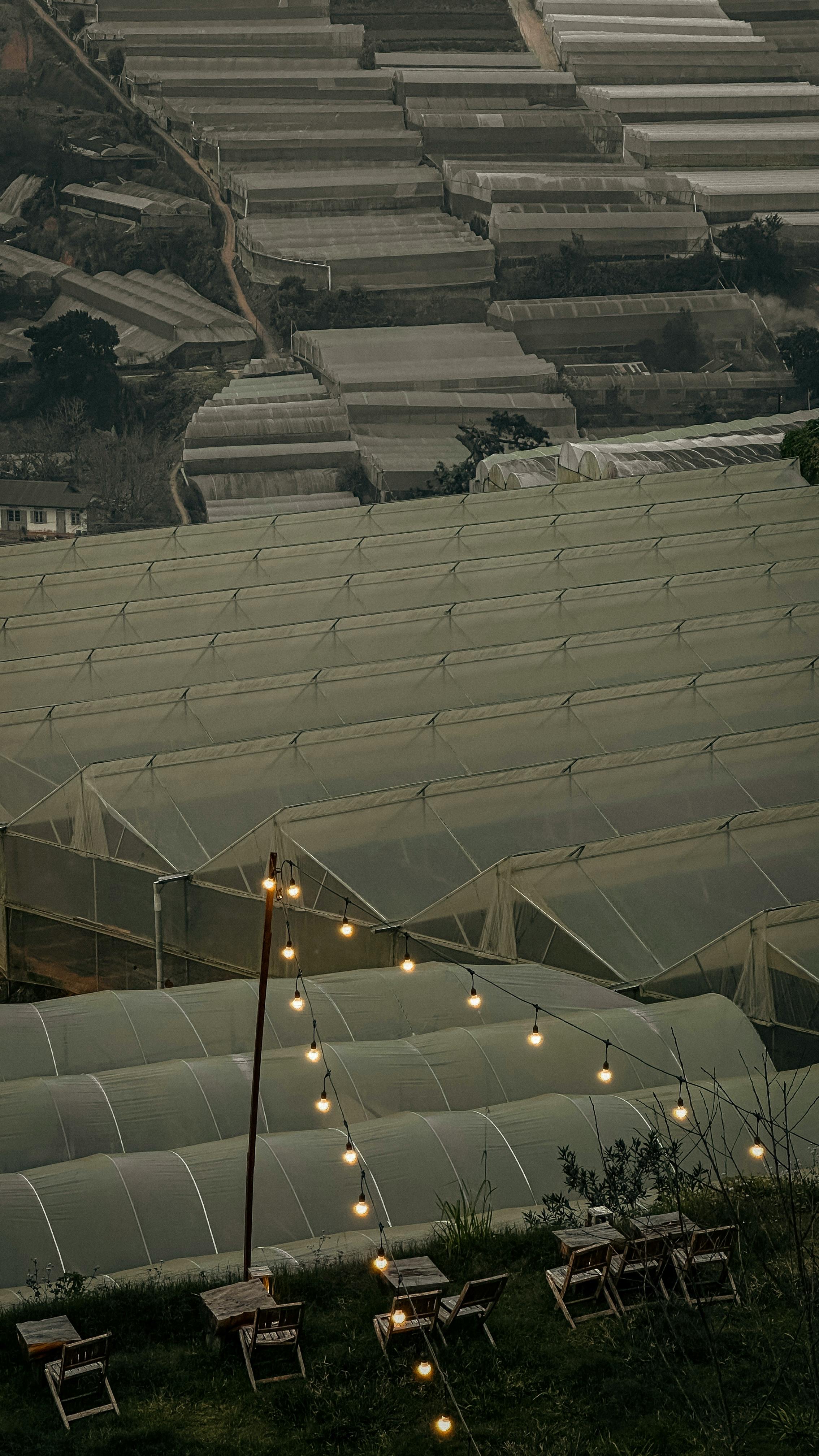 Covered Crops Photos, Download The BEST Free Covered Crops Stock Photos ...