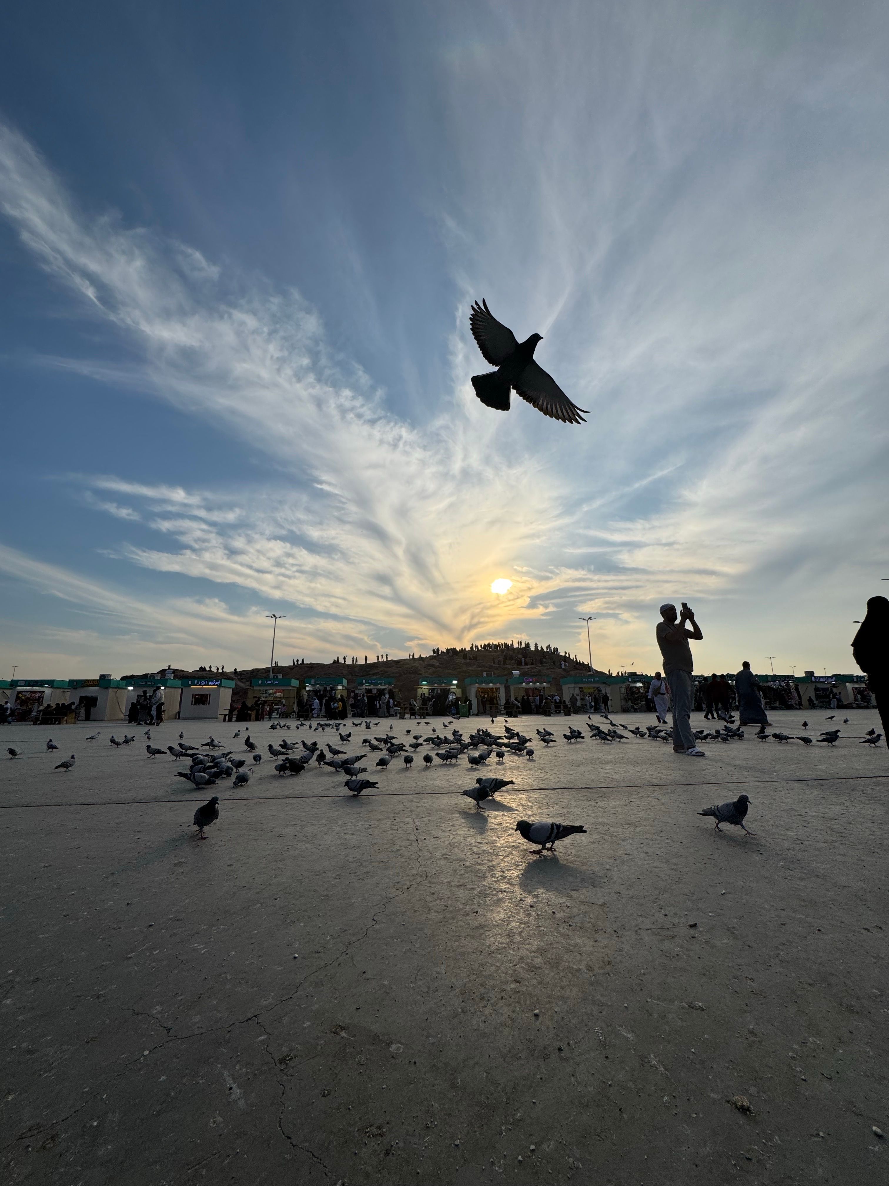 Pigeons Flying Over Busy Urban Square at Sunset · Free Stock Photo