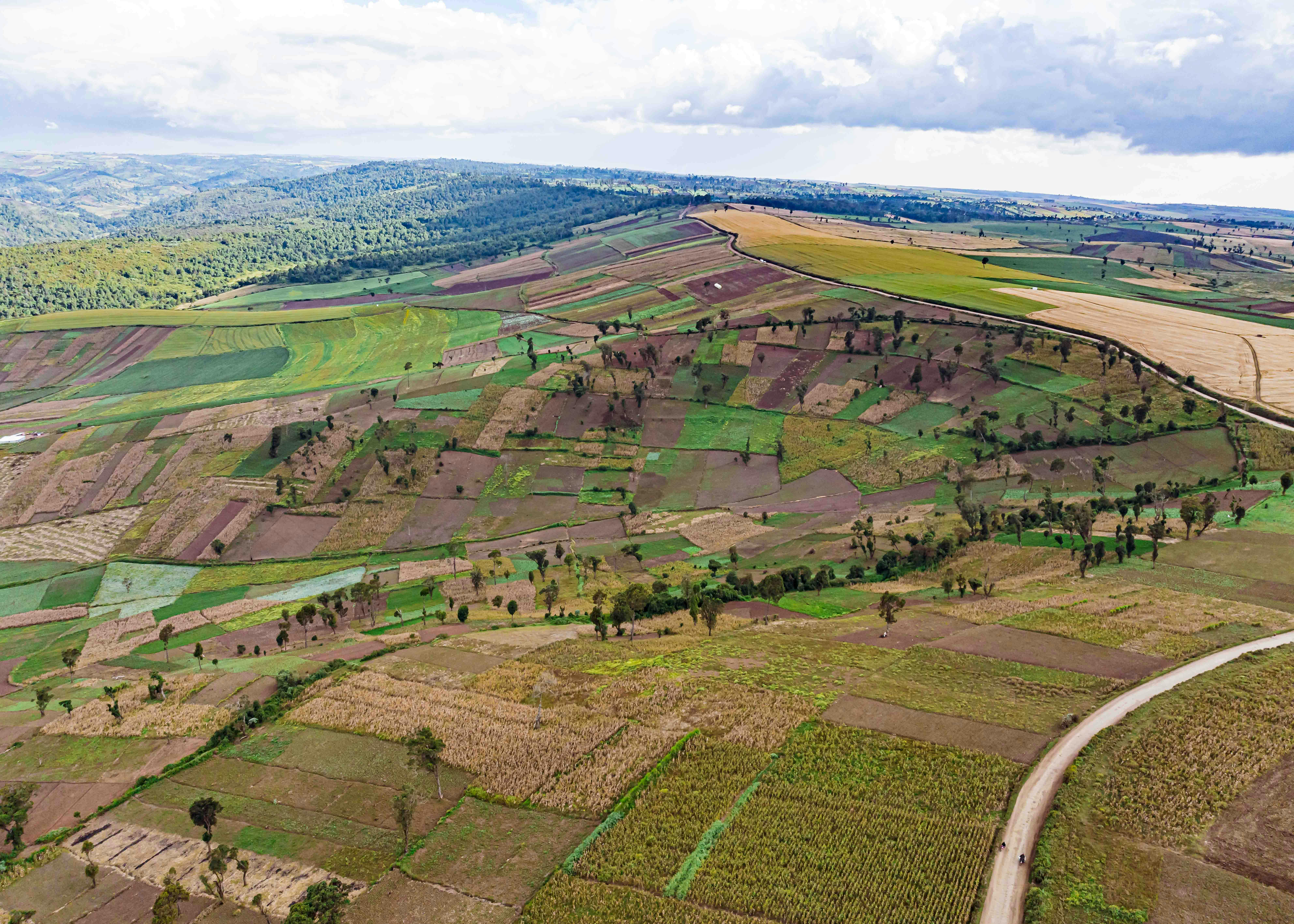 Aerial View of Farmlands in Mau Narok, Kenya · Free Stock Photo