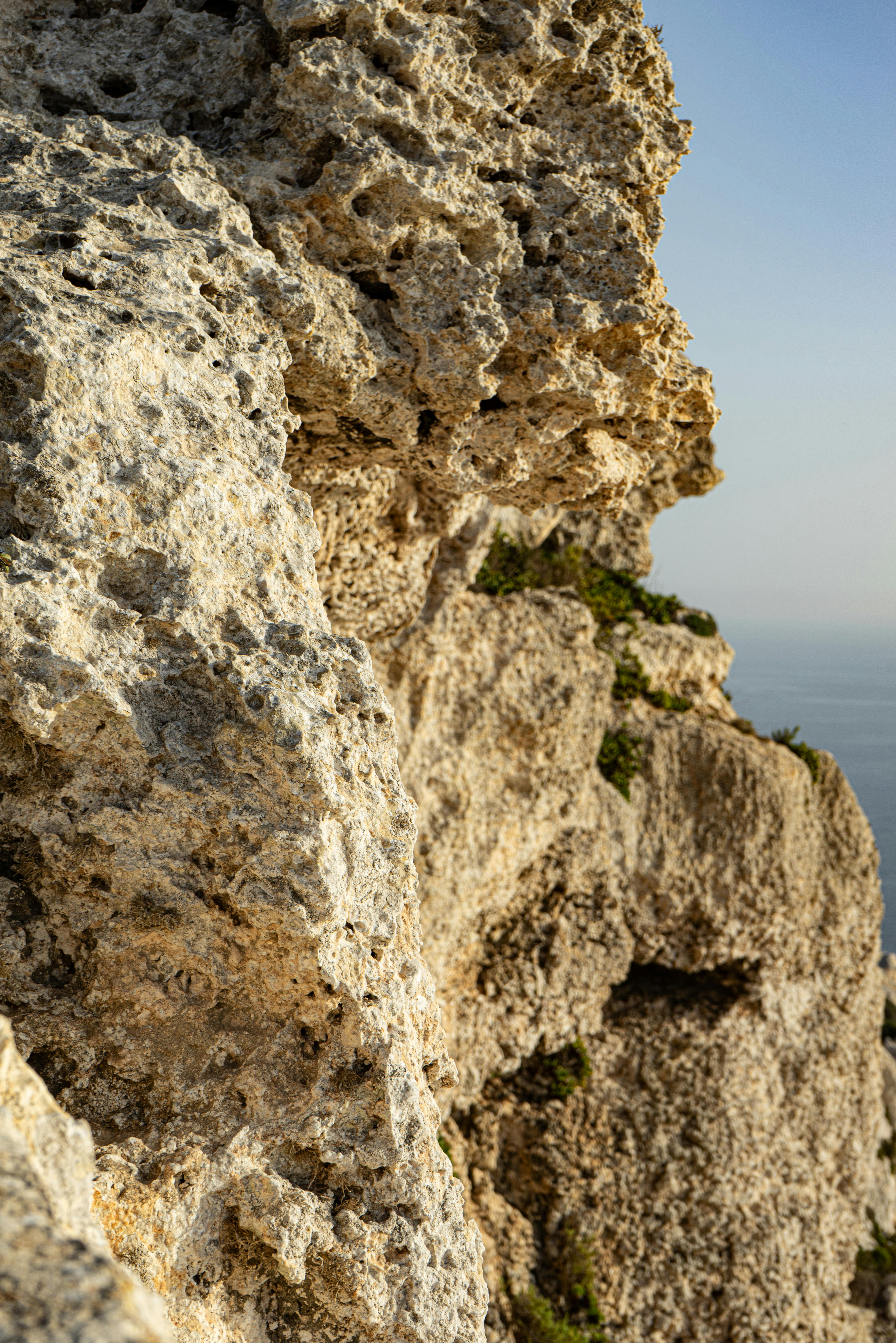 Majestic Limestone Cliffs in Malta · Free Stock Photo
