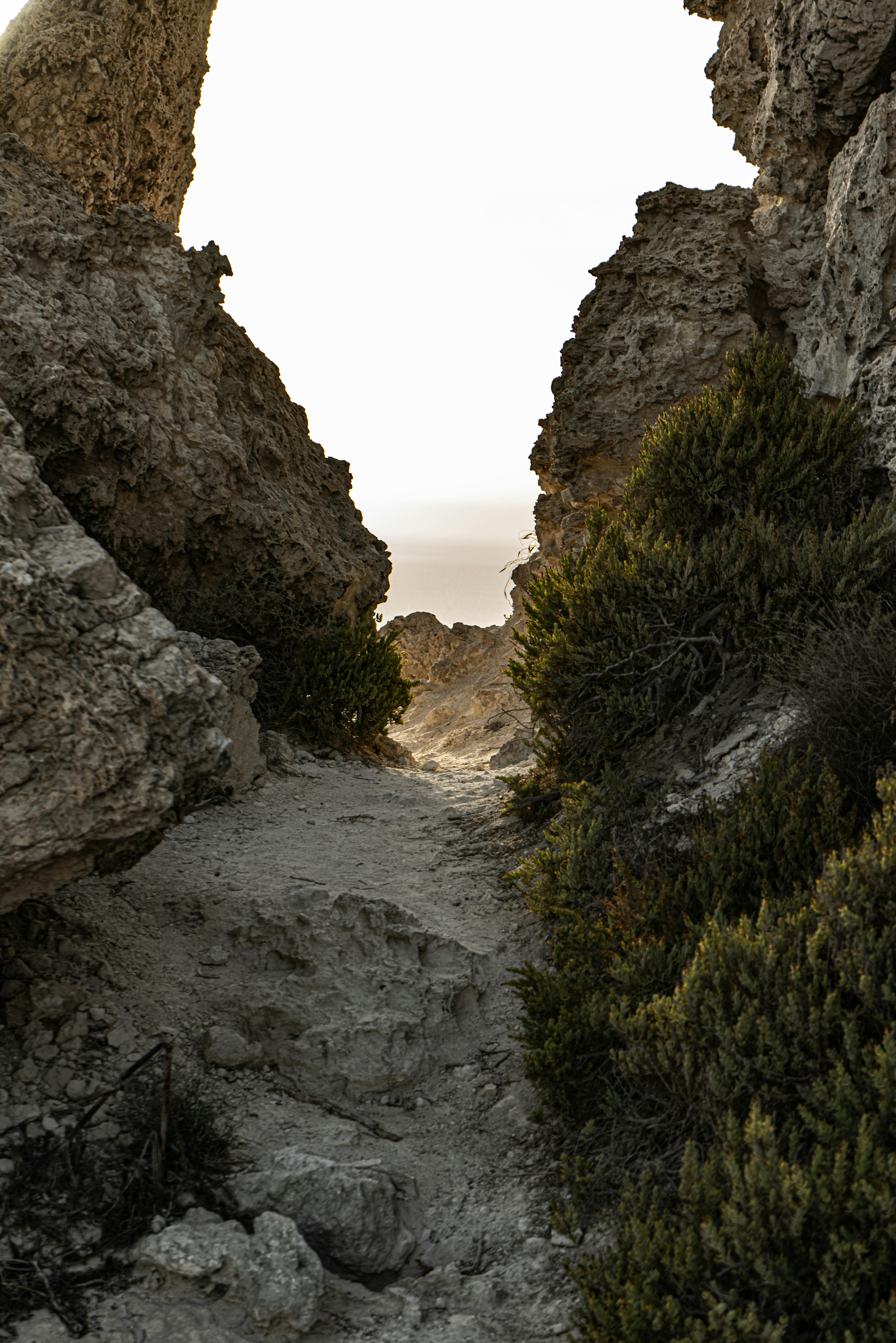 Rocky Pathway Through Maltese Cliffs · Free Stock Photo