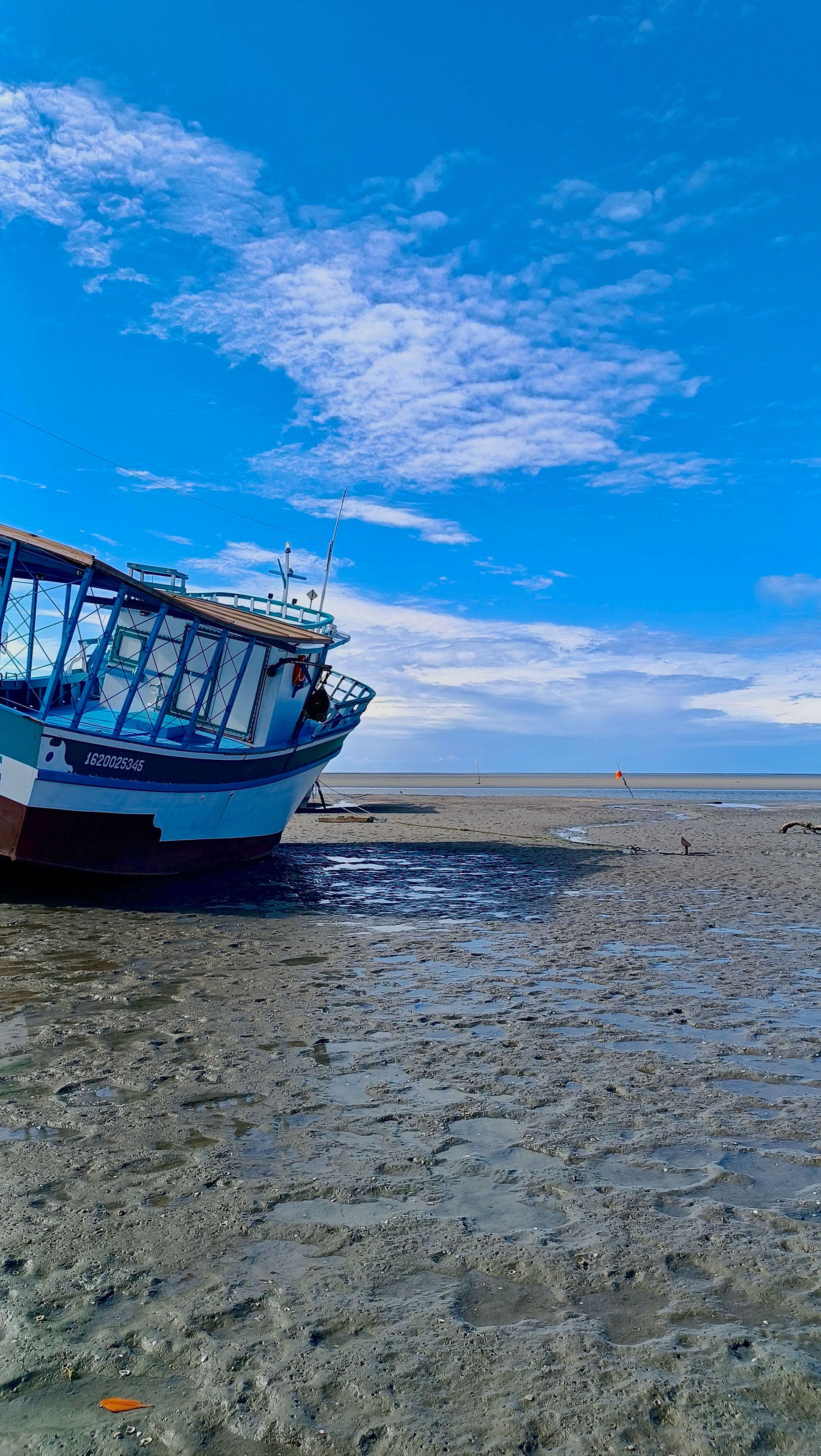 Stranded Blue Boat on Sandy Beach at Low Tide · Free Stock Photo