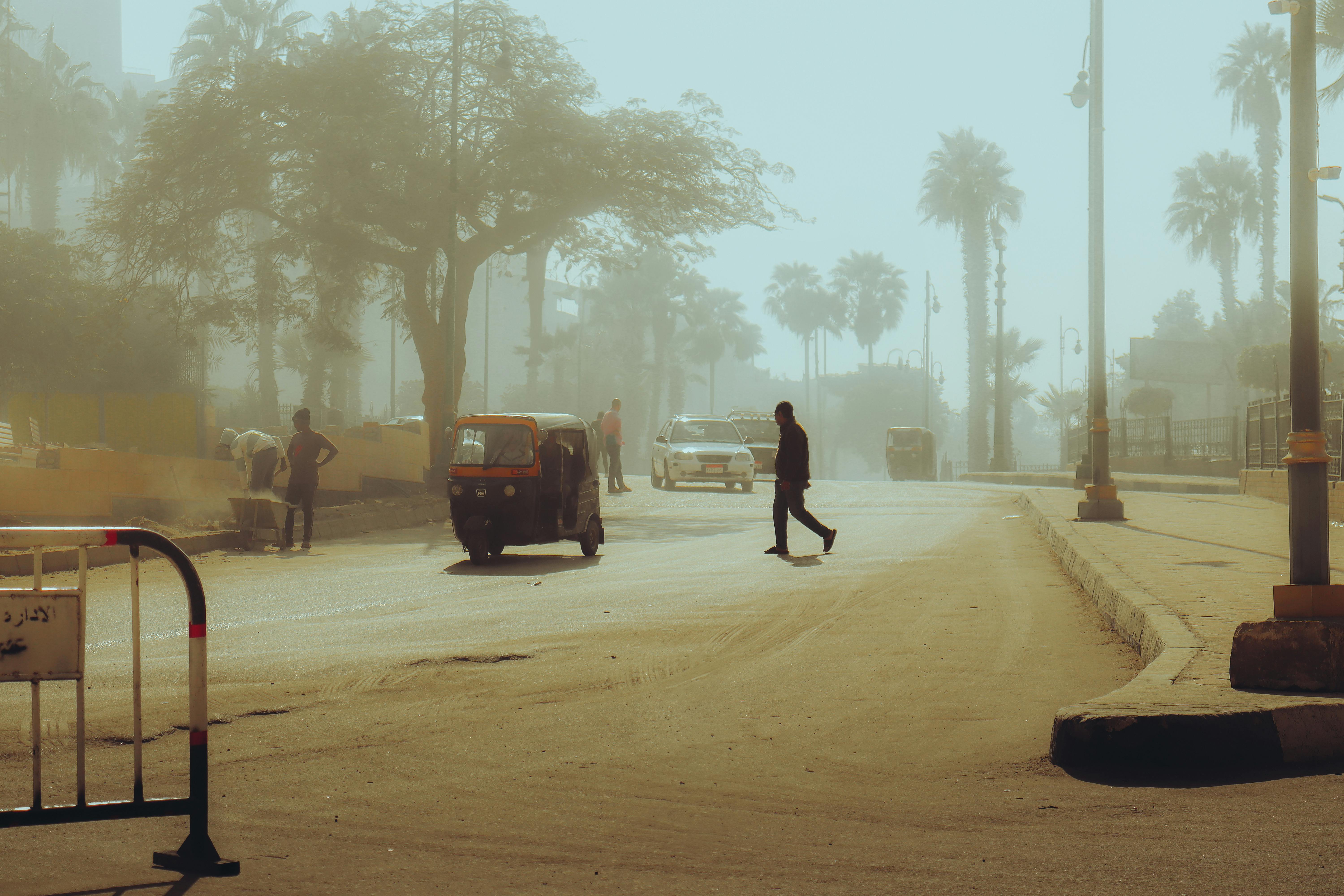Dusty Street Scene with Tuktuk and Palm Trees · Free Stock Photo