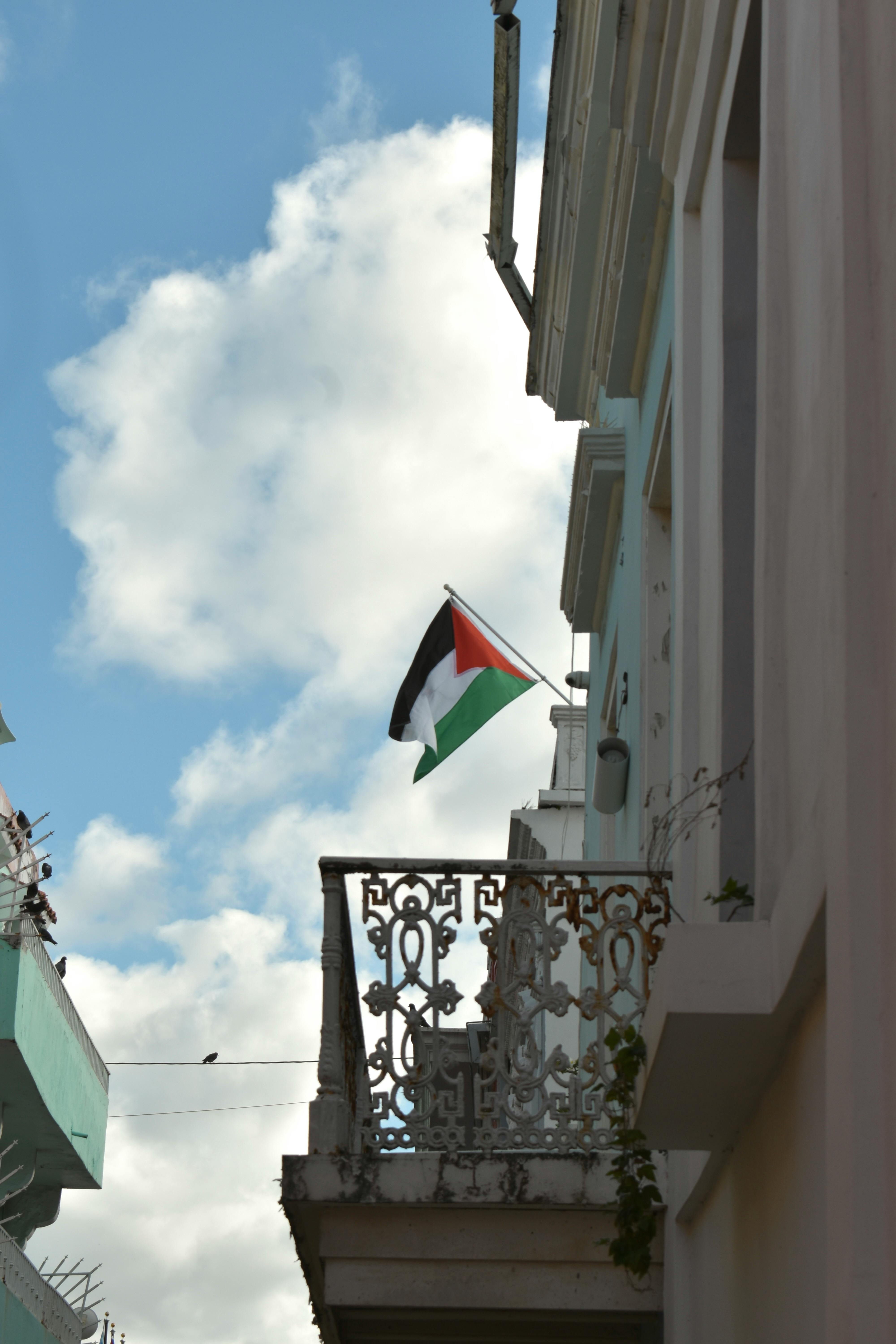 Palestine Land Photos, Download The BEST Free Palestine Land Stock ...