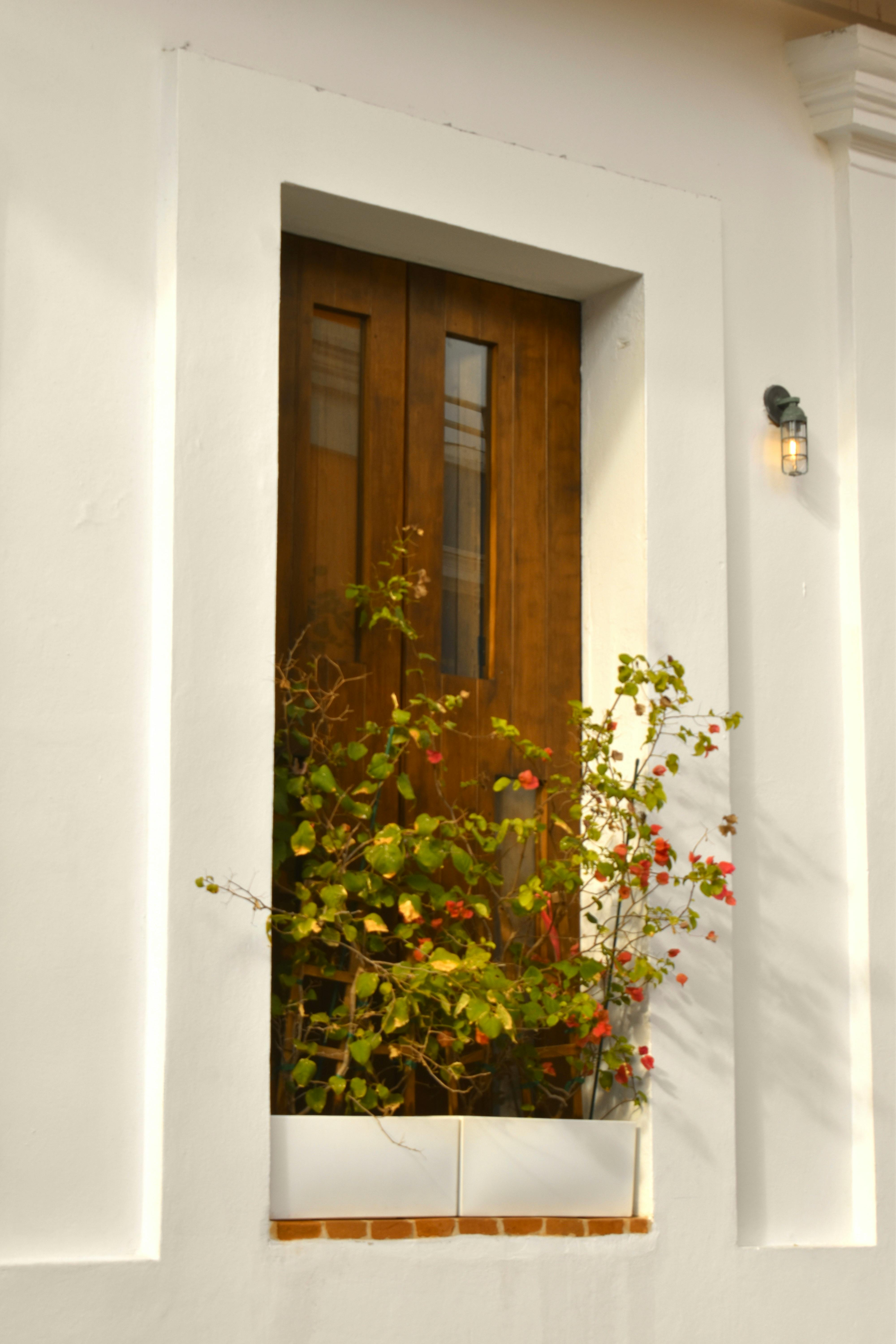 Wooden Window Pane · Free Stock Photo