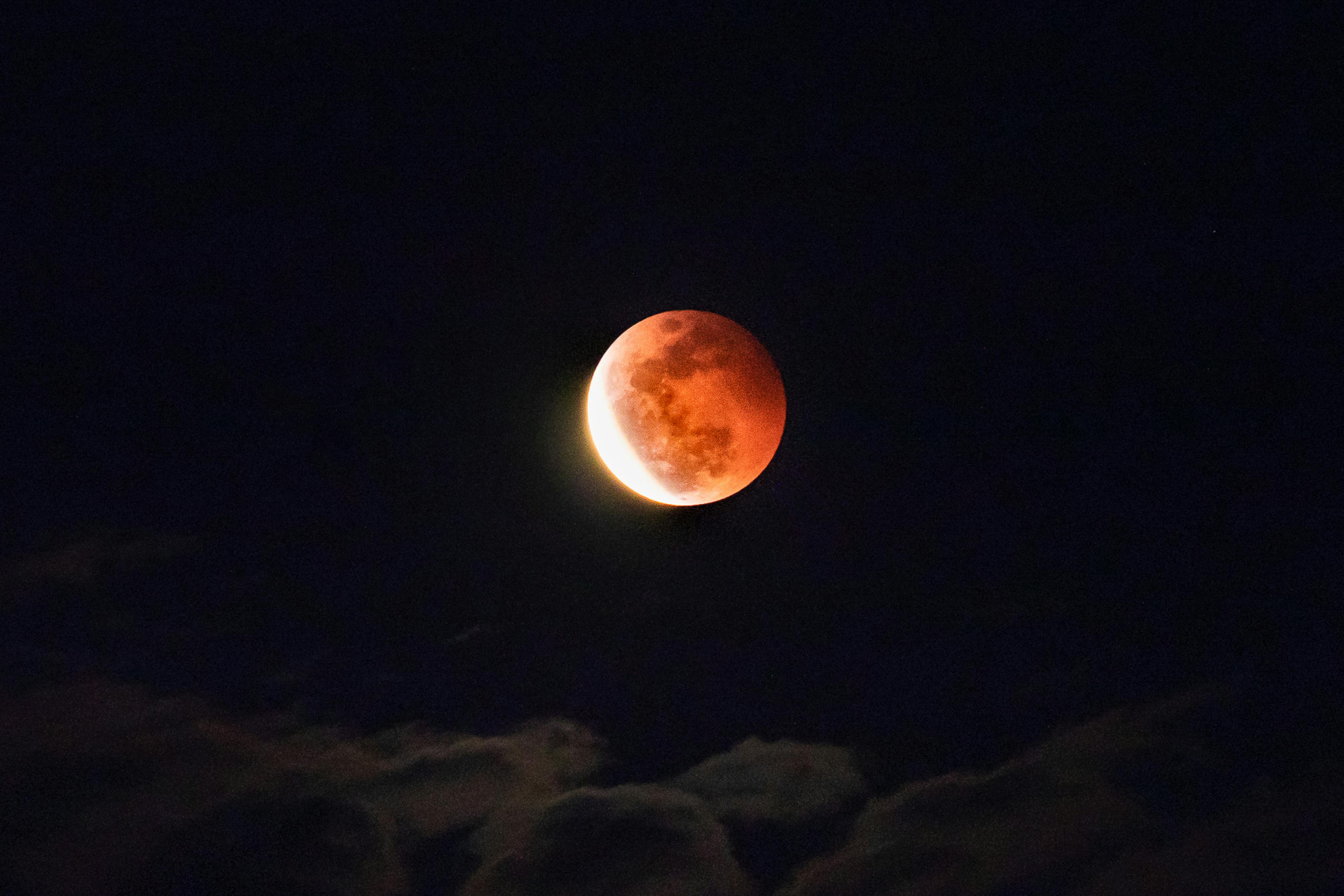 Blood Moon · Free Stock Photo