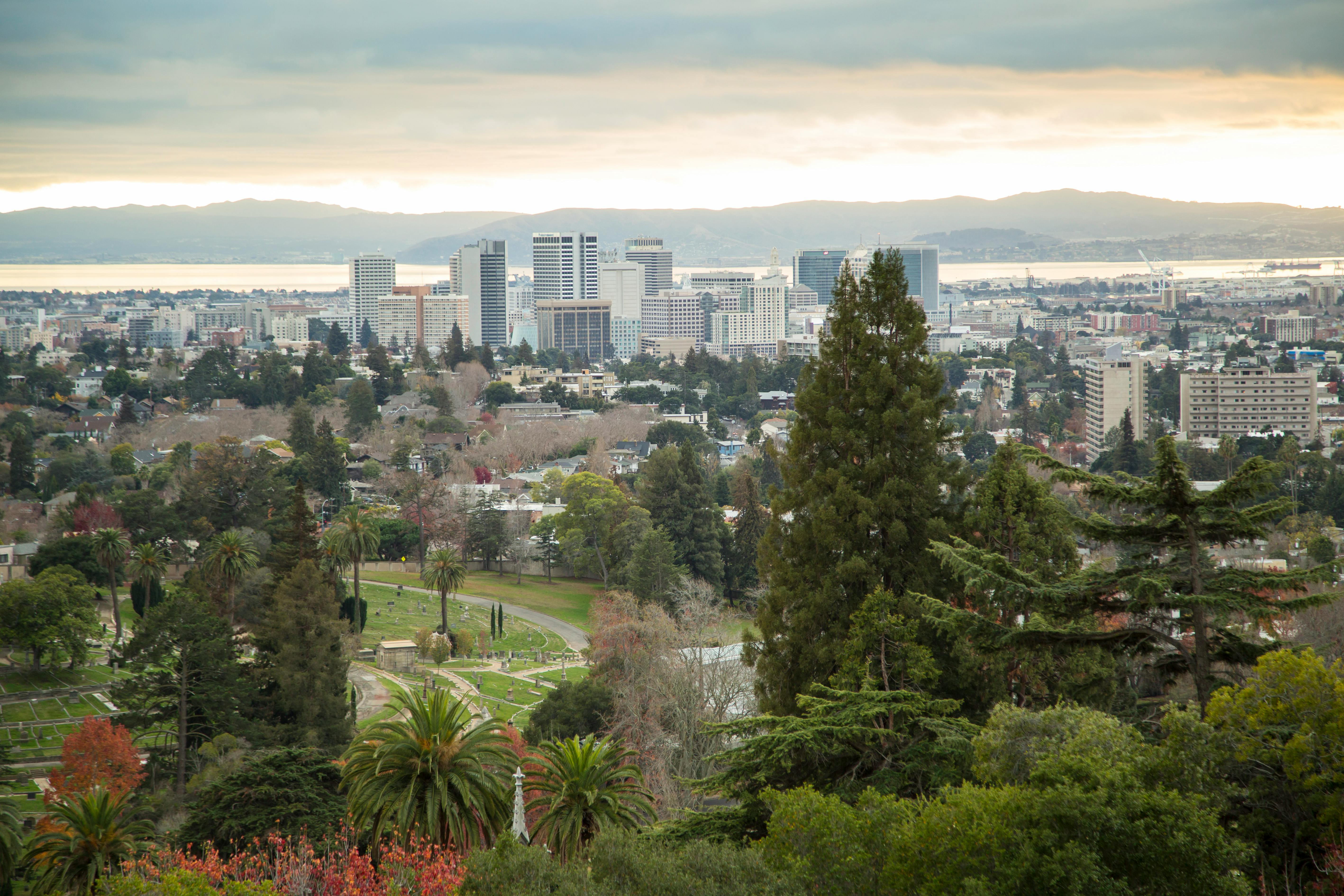 Scenic Oakland Skyline with Trees and Bay View · Free Stock Photo