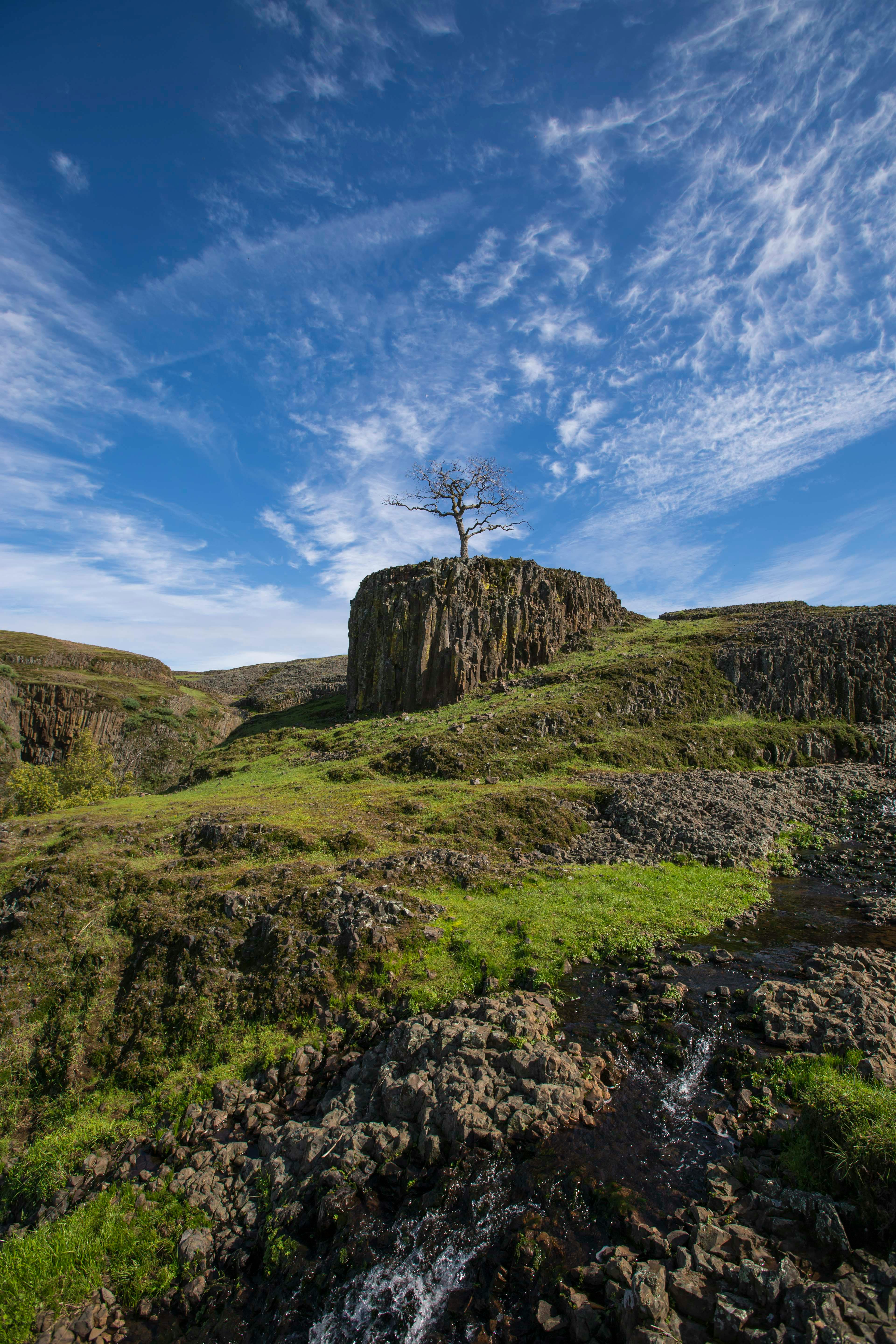 Lonely Tree atop Basalt Cliff Under Blue Sky · Free Stock Photo