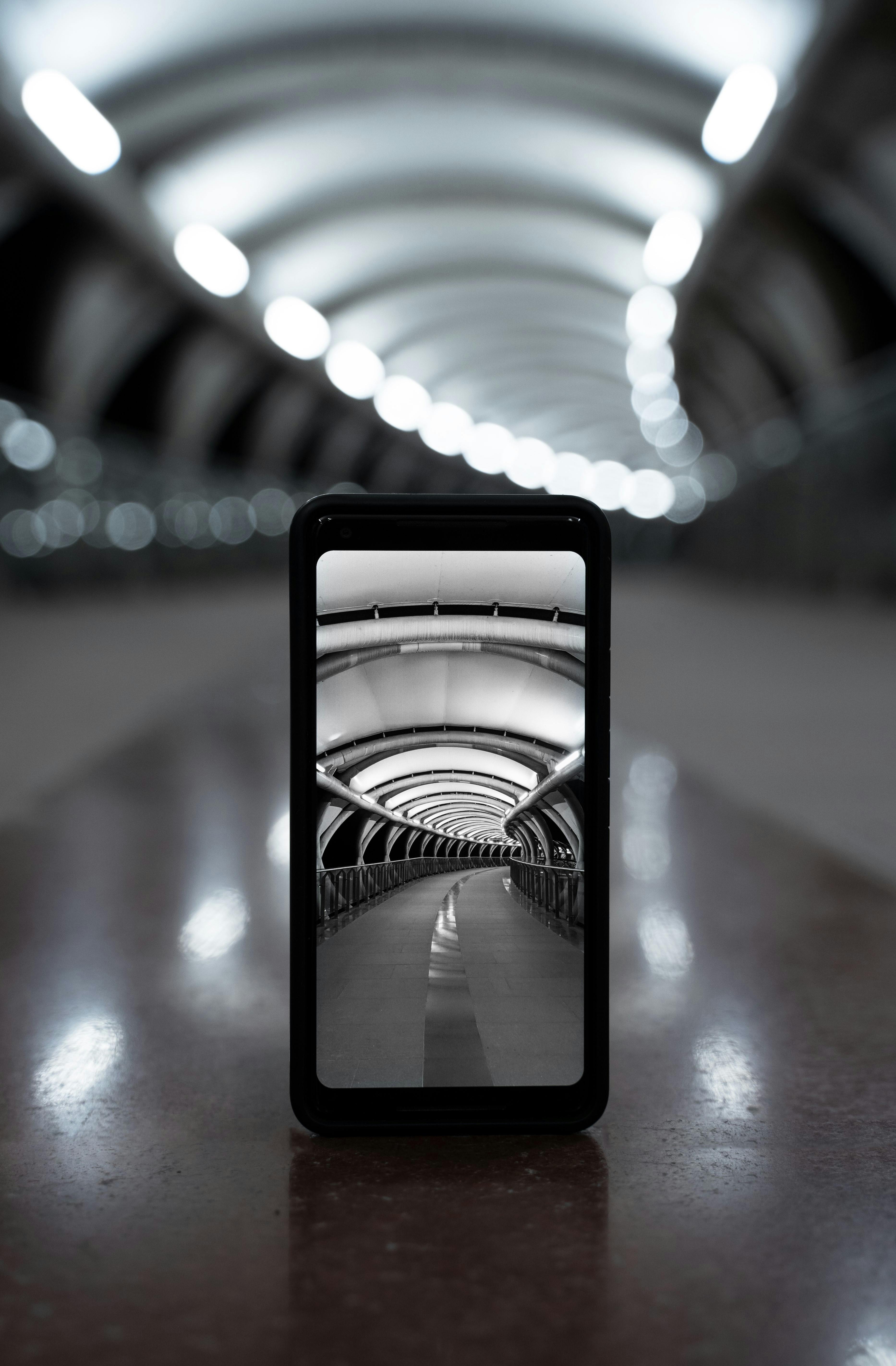 Photograph Photos, Download The BEST Free Photograph Stock Photos & HD ... Photograph Photos, Download The BEST Free Photograph Stock Photos & HD ...