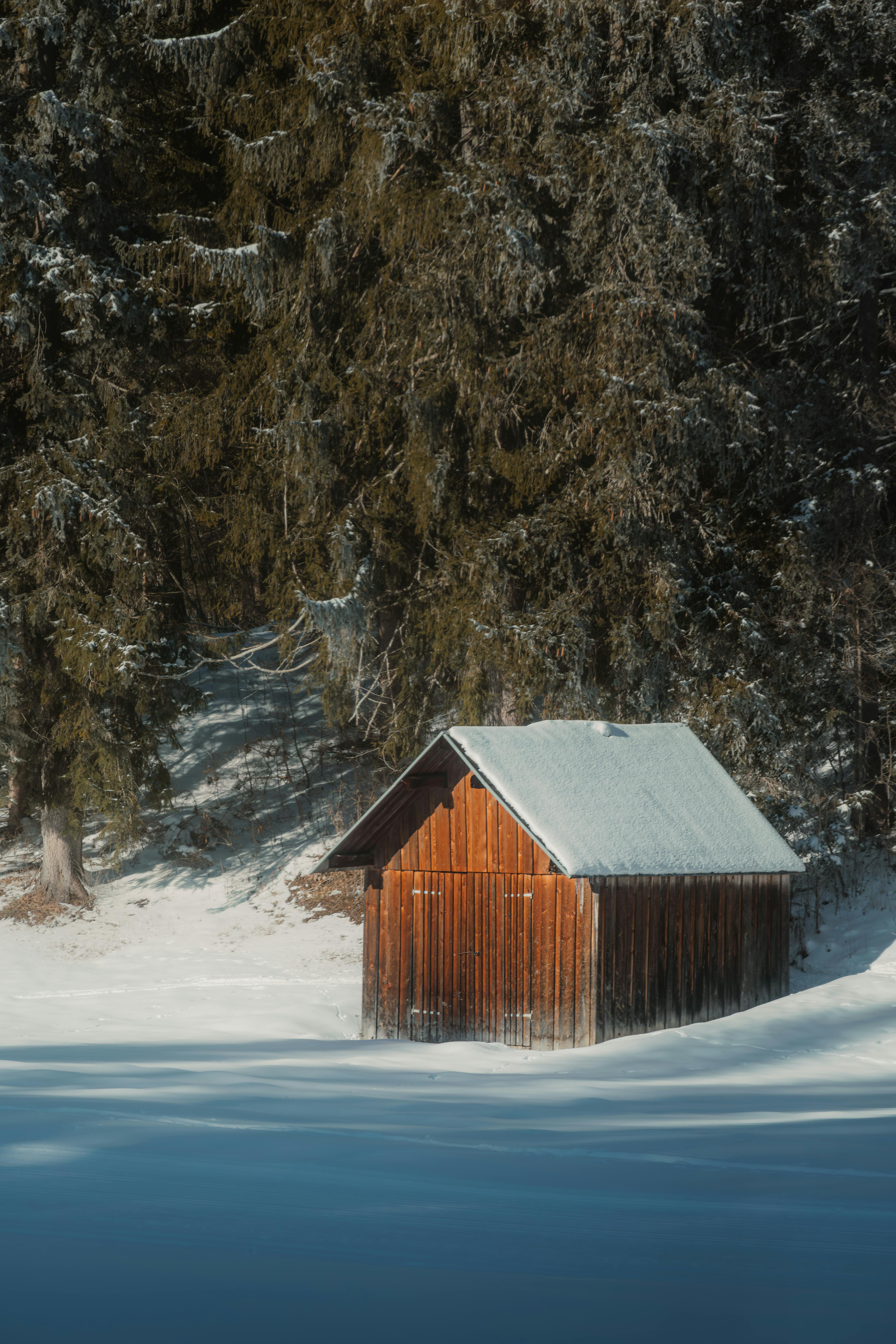 700+ Best Pixabay+gratuit Photos · 100% Free Download · Pexels Stock Photos