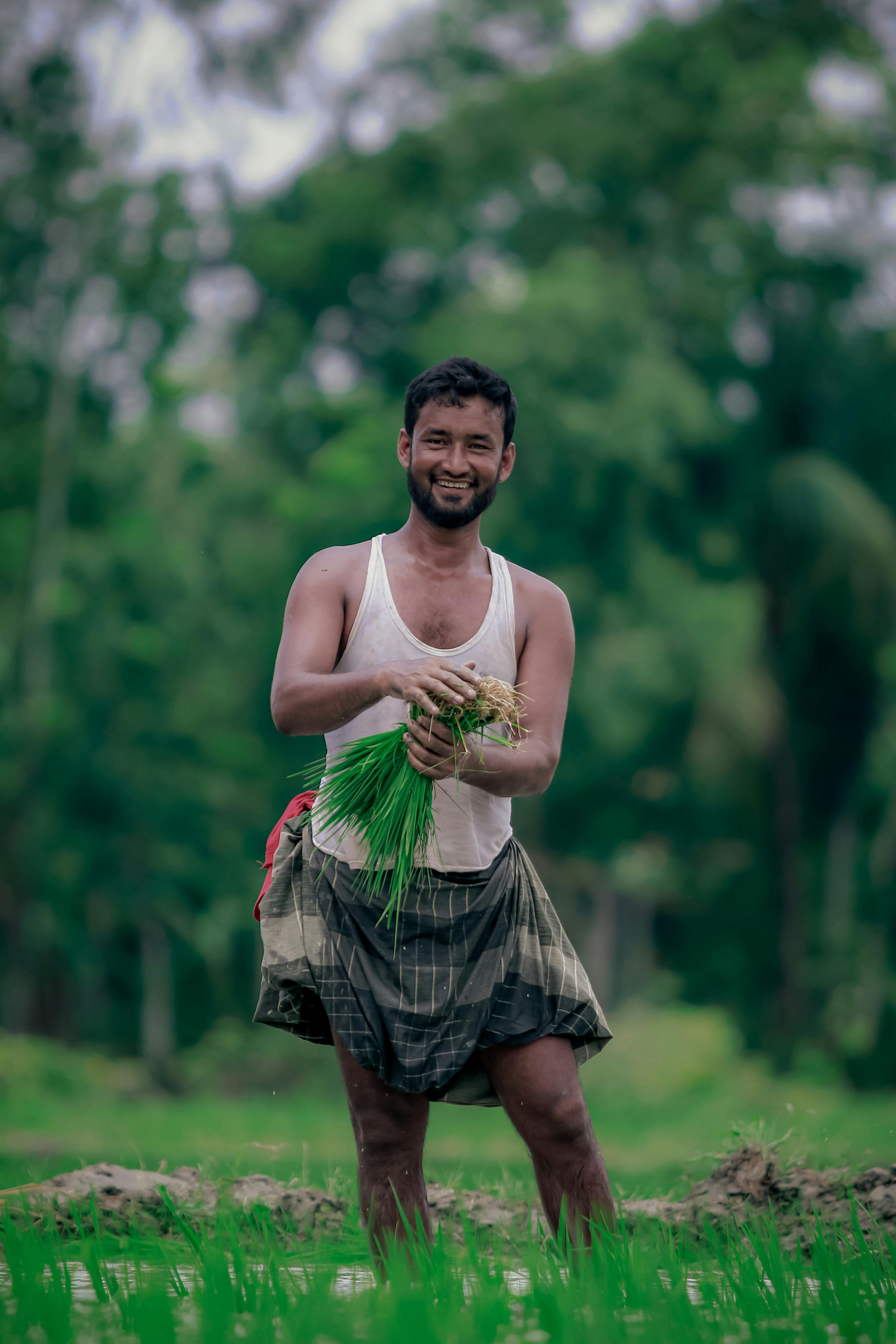 Videos Rice Photos, Download The BEST Free Videos Rice Stock Photos ...