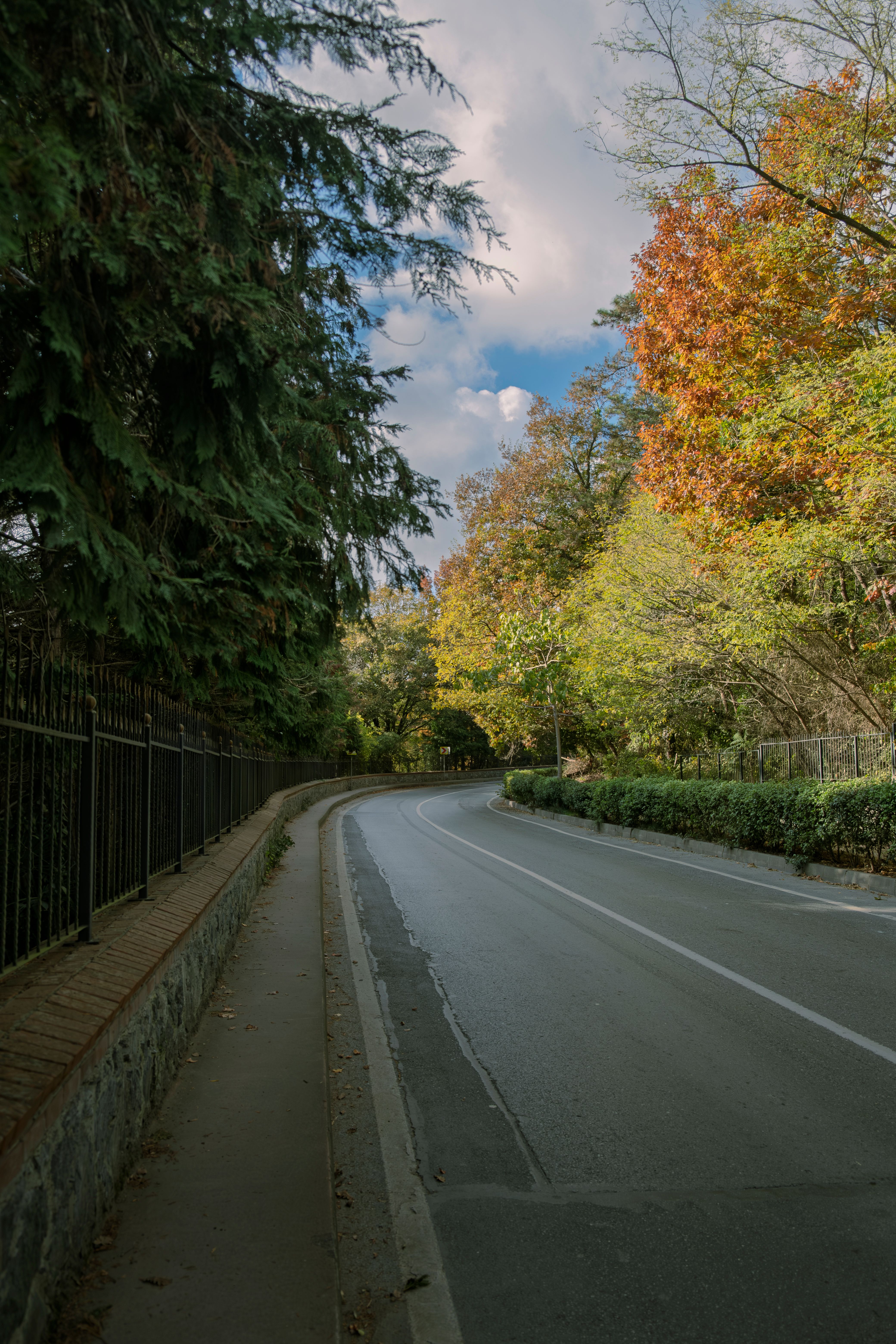 Scenic Autumn Road in İstanbul, Türkiye · Free Stock Photo