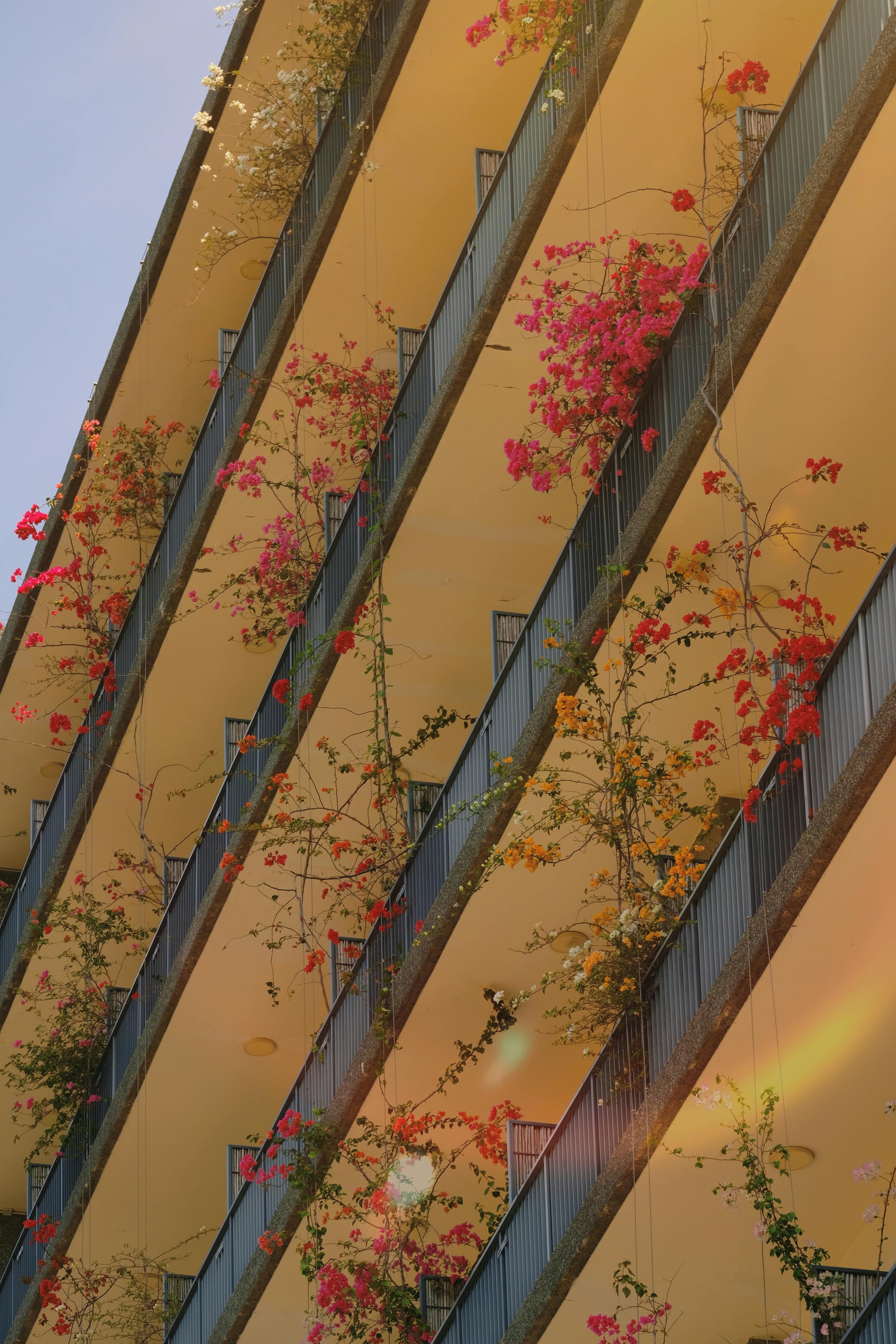 Colorful Vertical Garden on Modern Balcony · Free Stock Photo