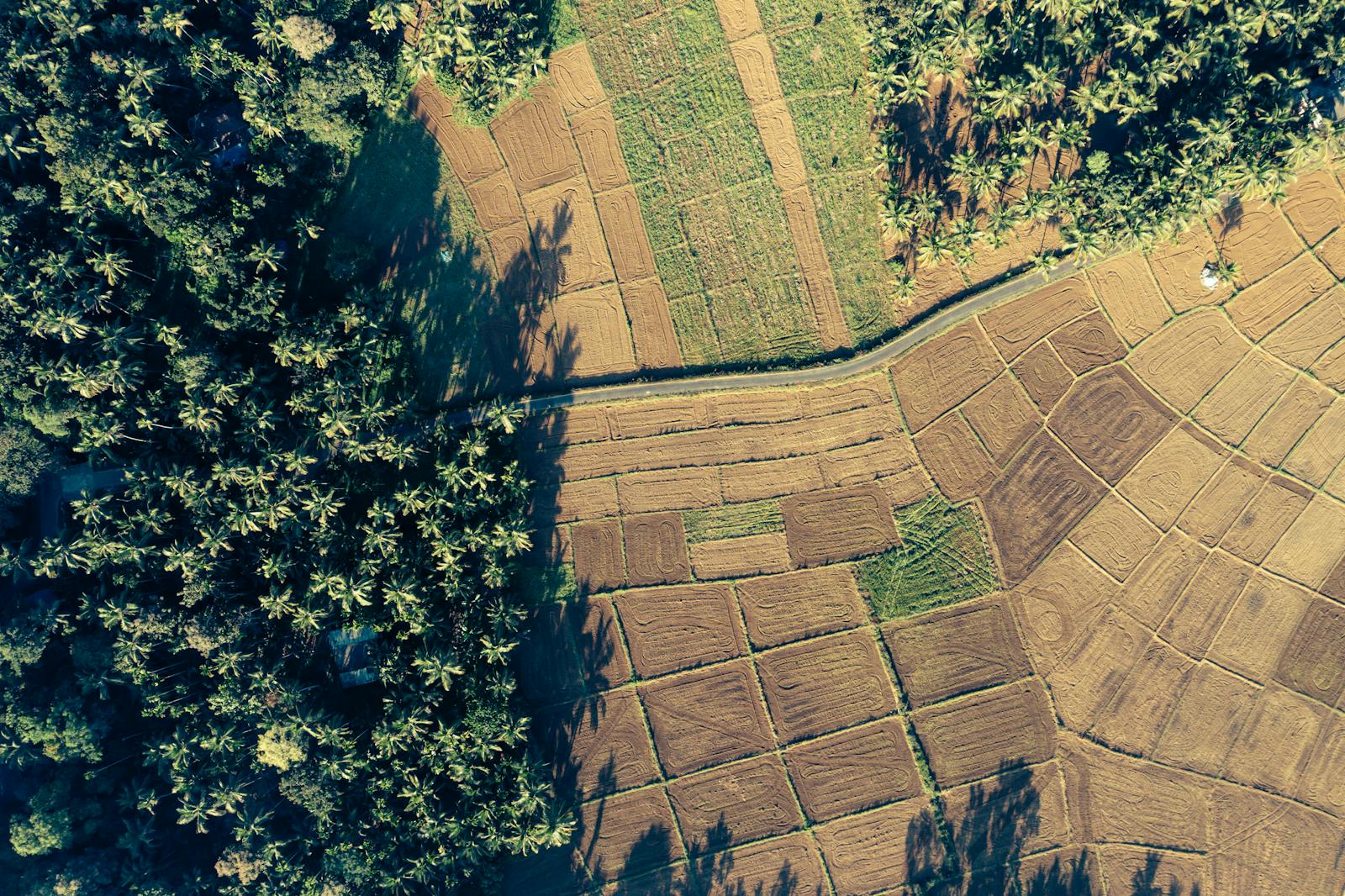 Free Photos Photos, Download The BEST Free Free Photos Stock Photos ...