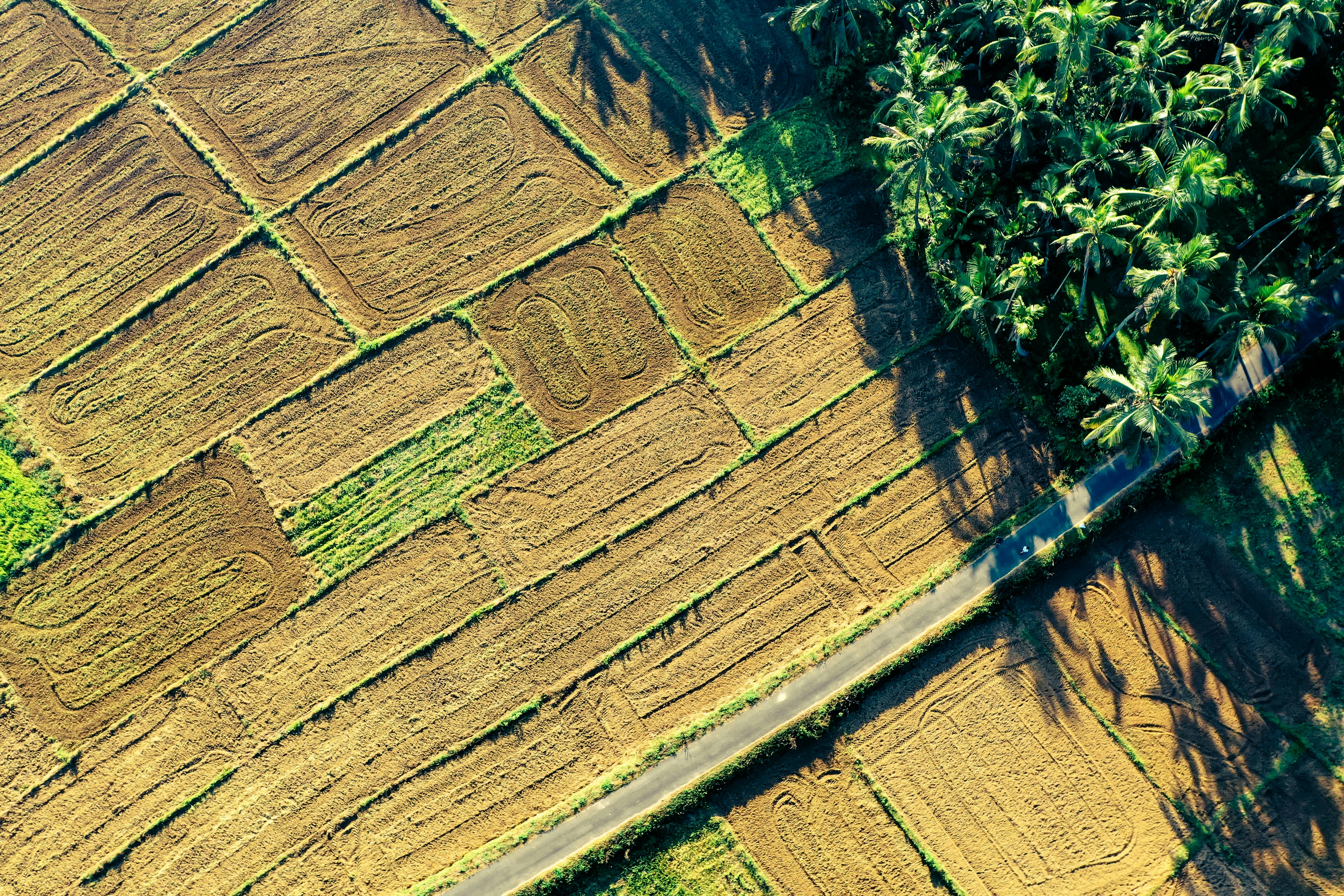 Doc Drone Photos, Download The BEST Free Doc Drone Stock Photos & HD Images