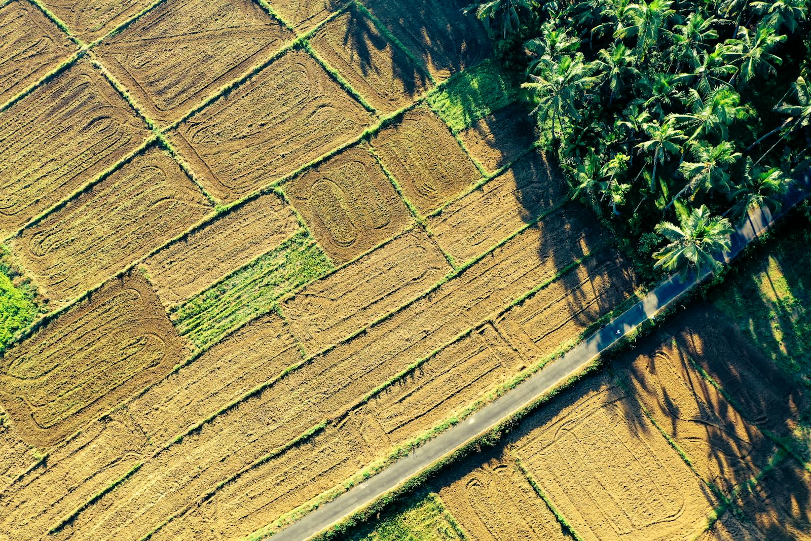 Free Photos Photos, Download The BEST Free Free Photos Stock Photos ...