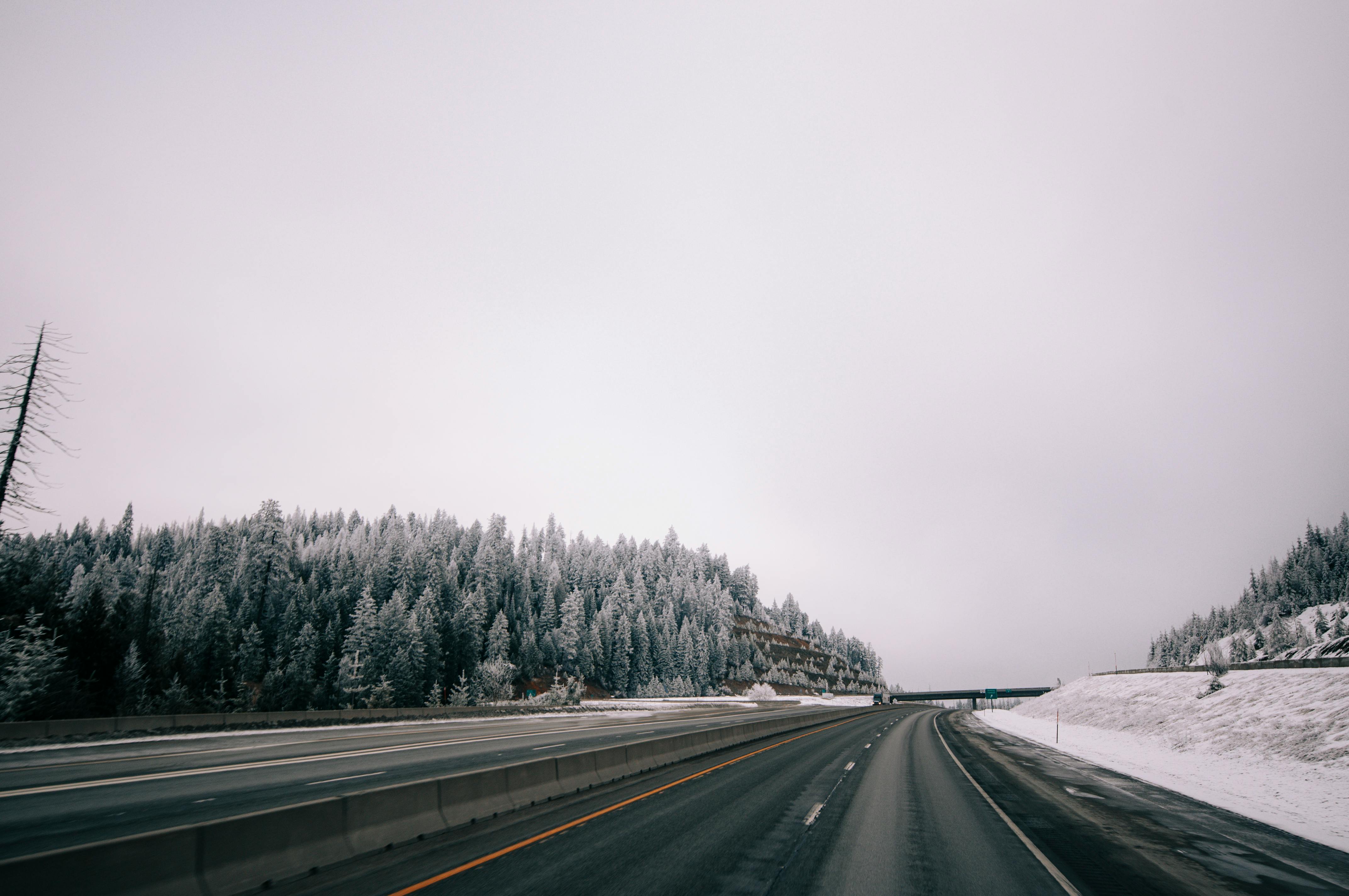 Snowy Winter Highway through Forest · Free Stock Photo