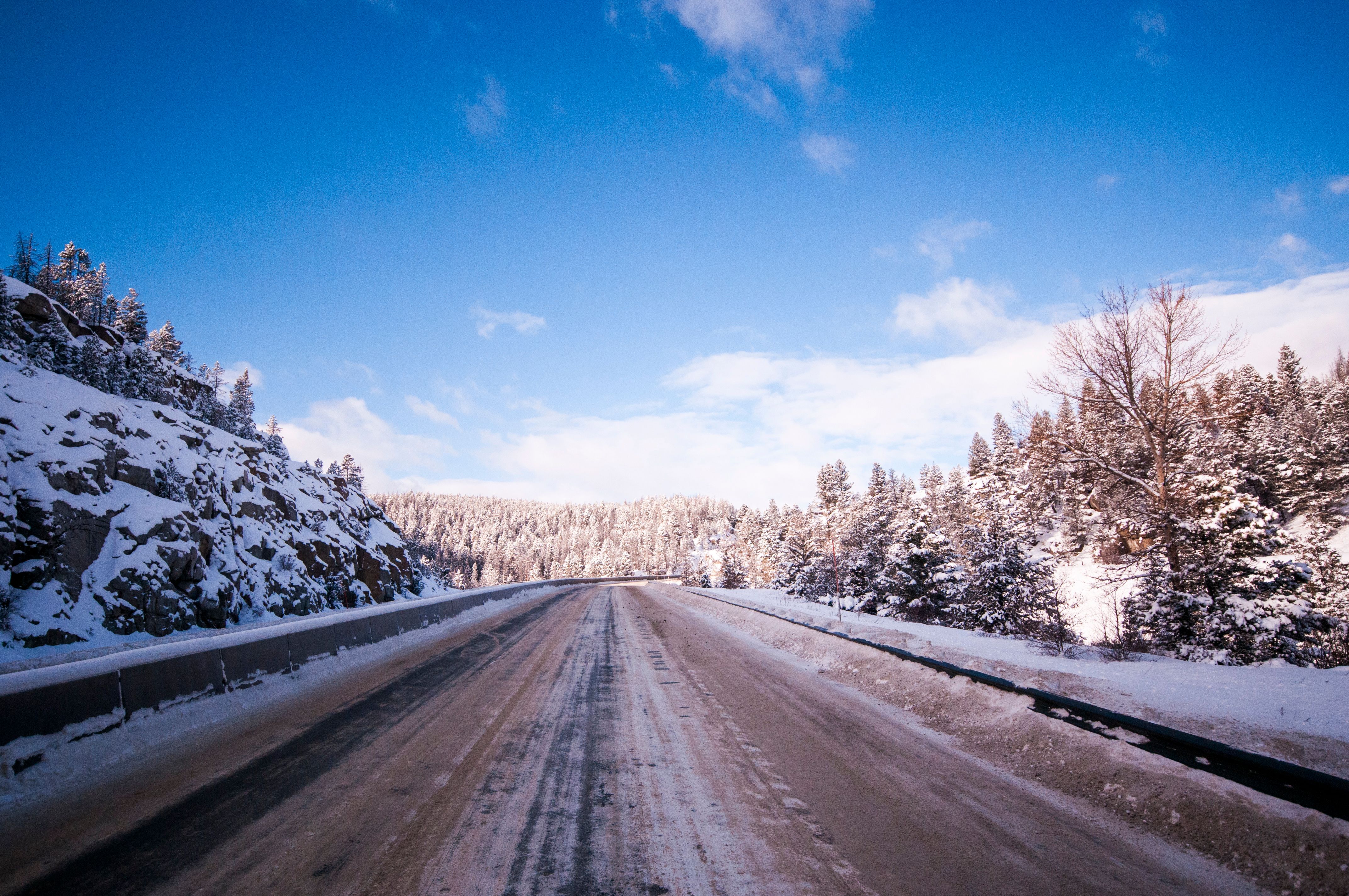 Scenic Snowy Road Through Winter Forest Landscape · Free Stock Photo