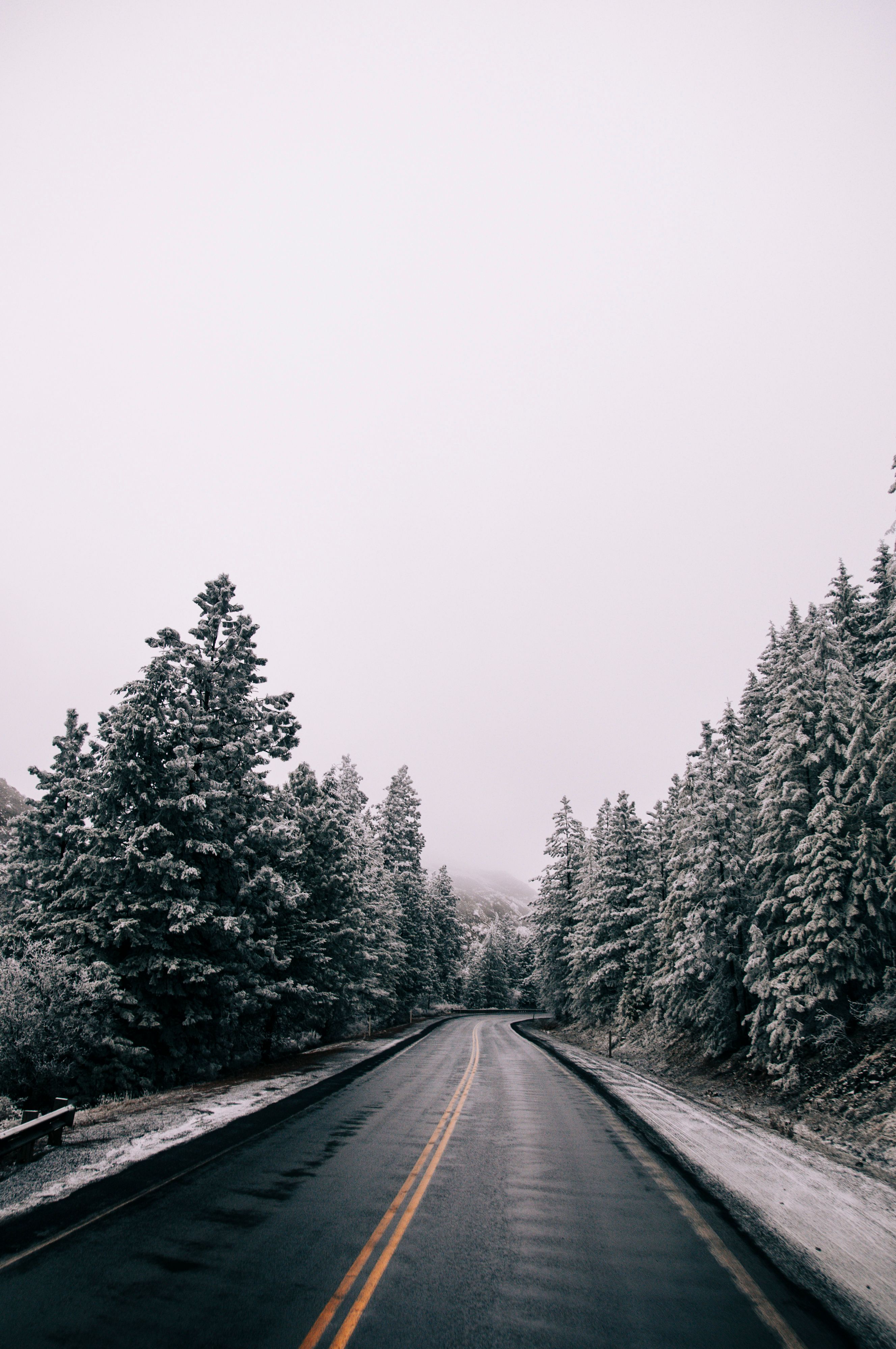 Photography of Roadway During Winter · Free Stock Photo