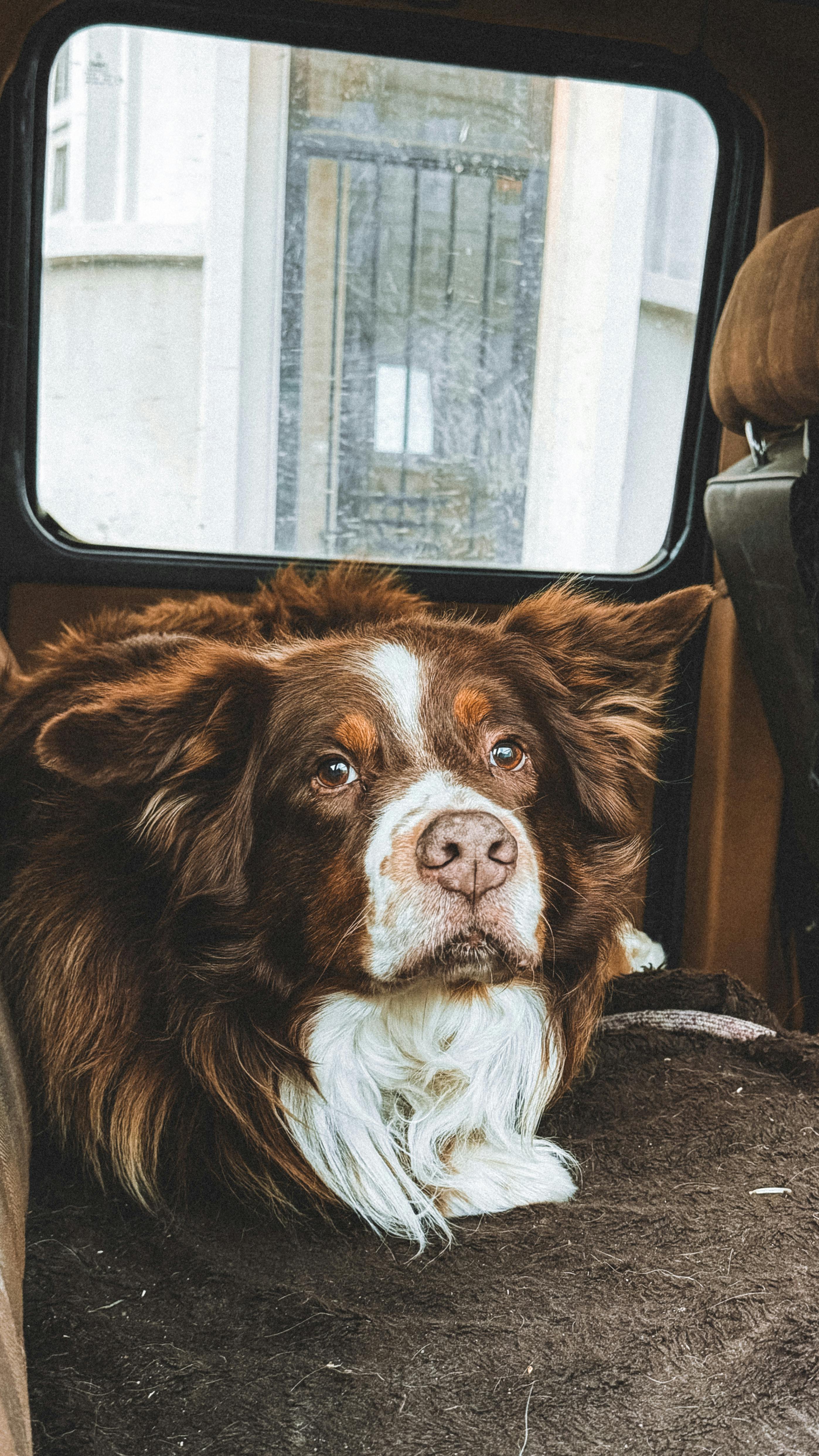 Stockes Photos, Download The BEST Free Stockes Stock Photos & HD Images