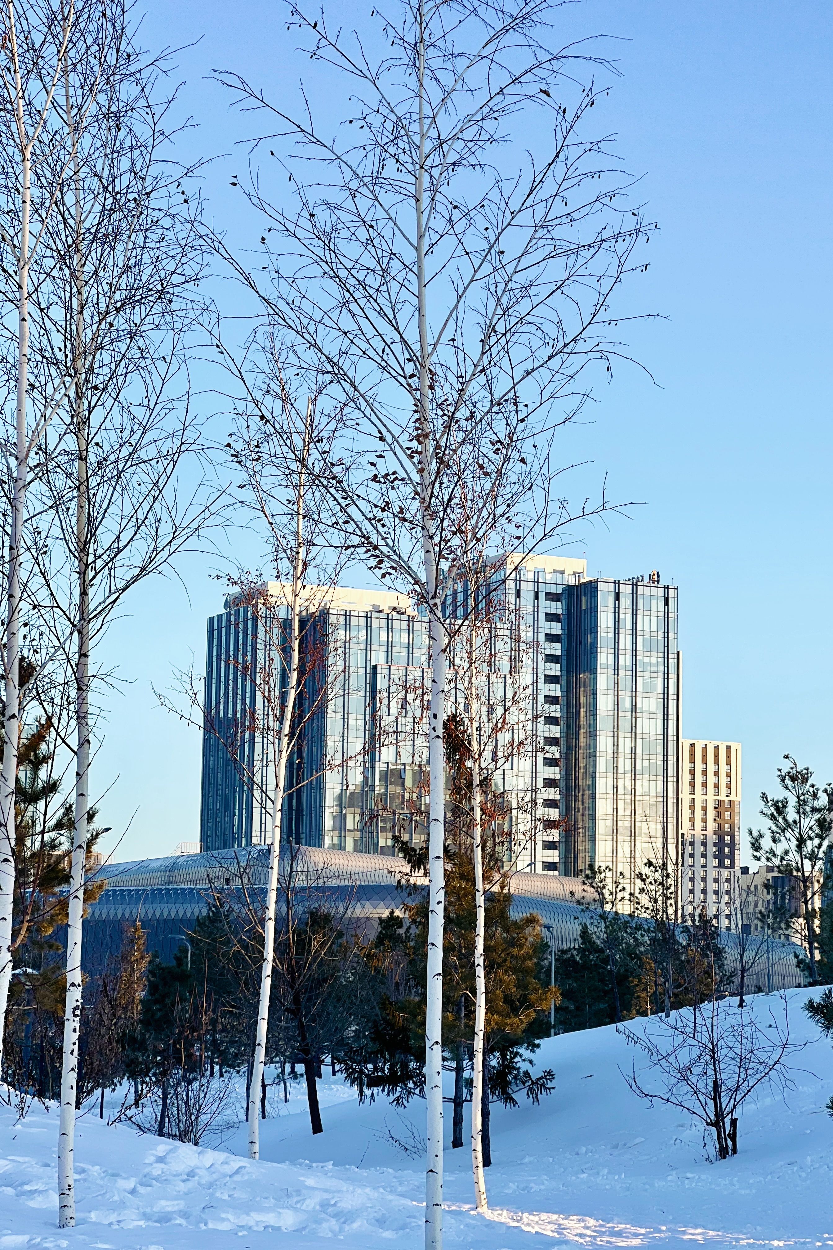 Modern Buildings in Winter Landscape, Astana · Free Stock Photo