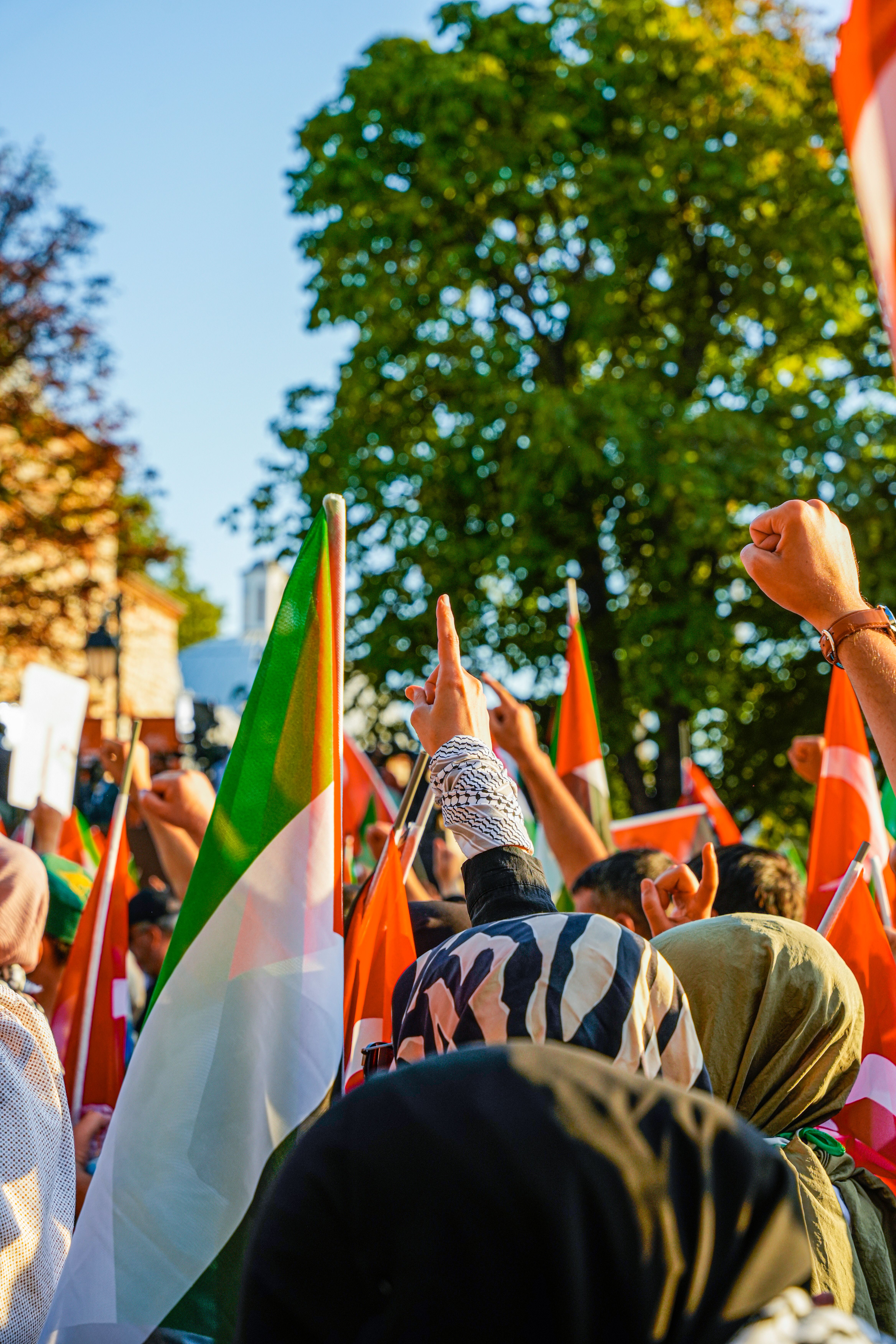 Vibrant Outdoor Protest with Flags and Crowd · Free Stock Photo