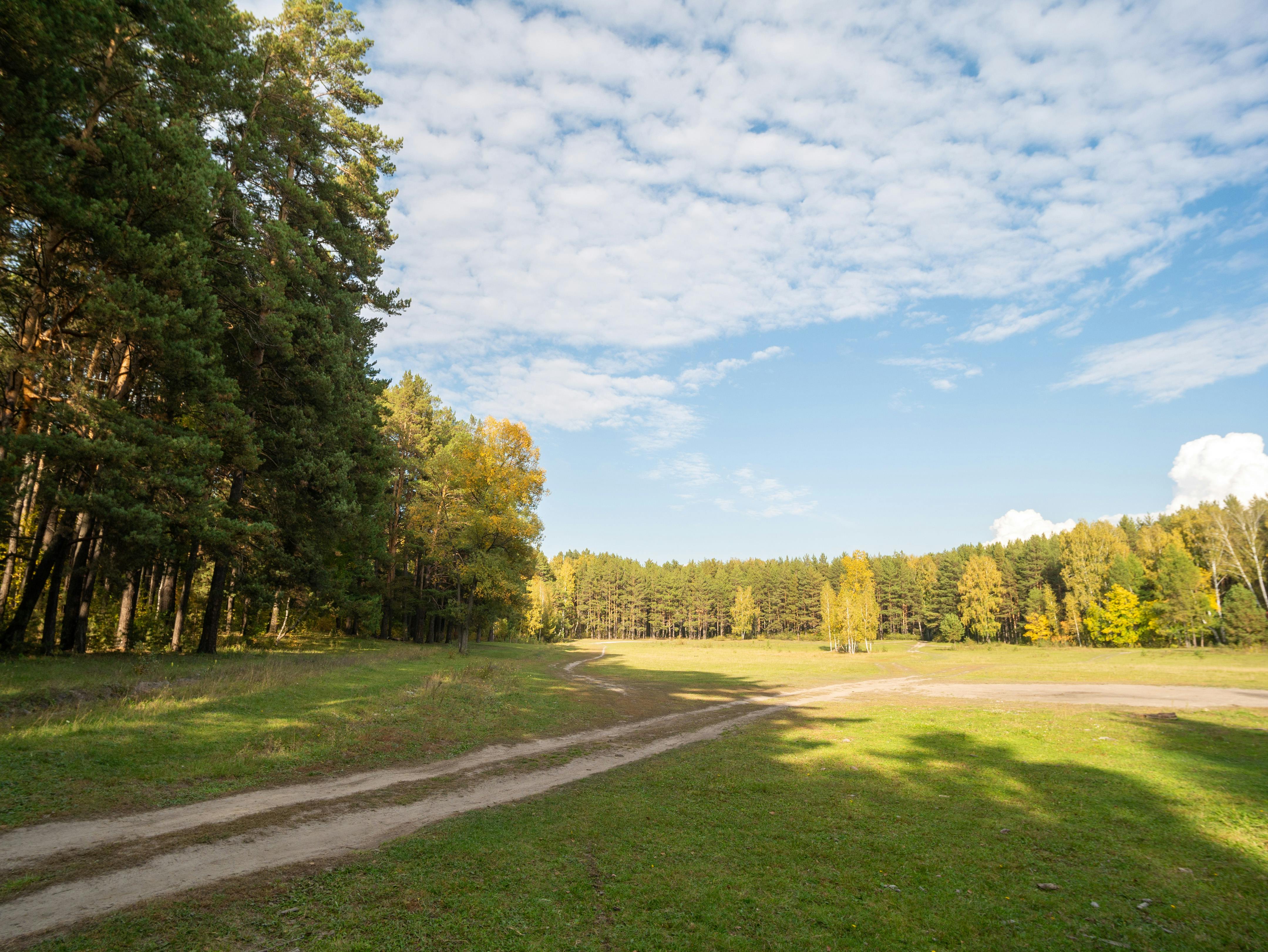 Foto de stock gratuita sobre aire fresco, al aire libre, arboles ...