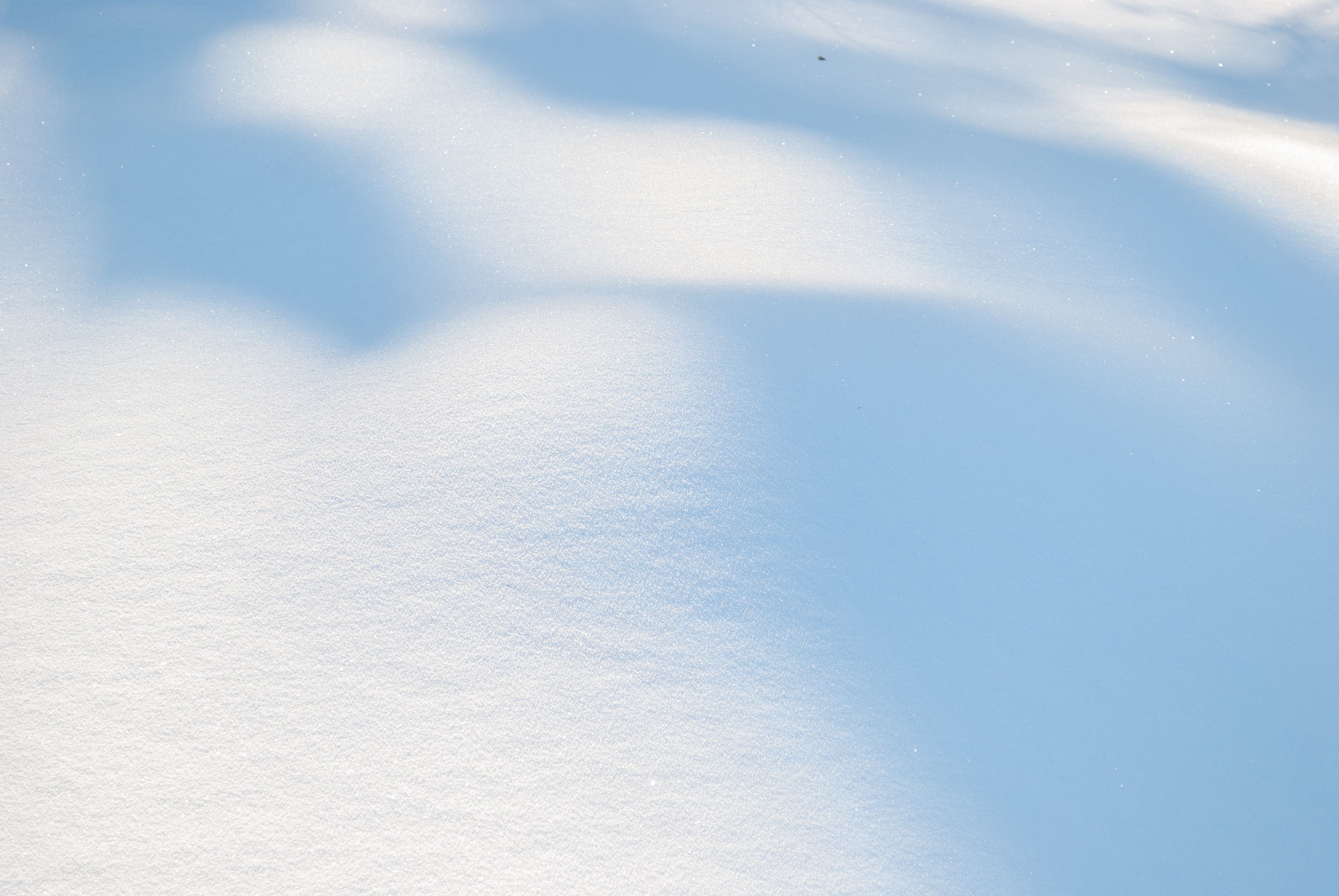 Serene Snowy Landscape with Soft Shadows · Free Stock Photo