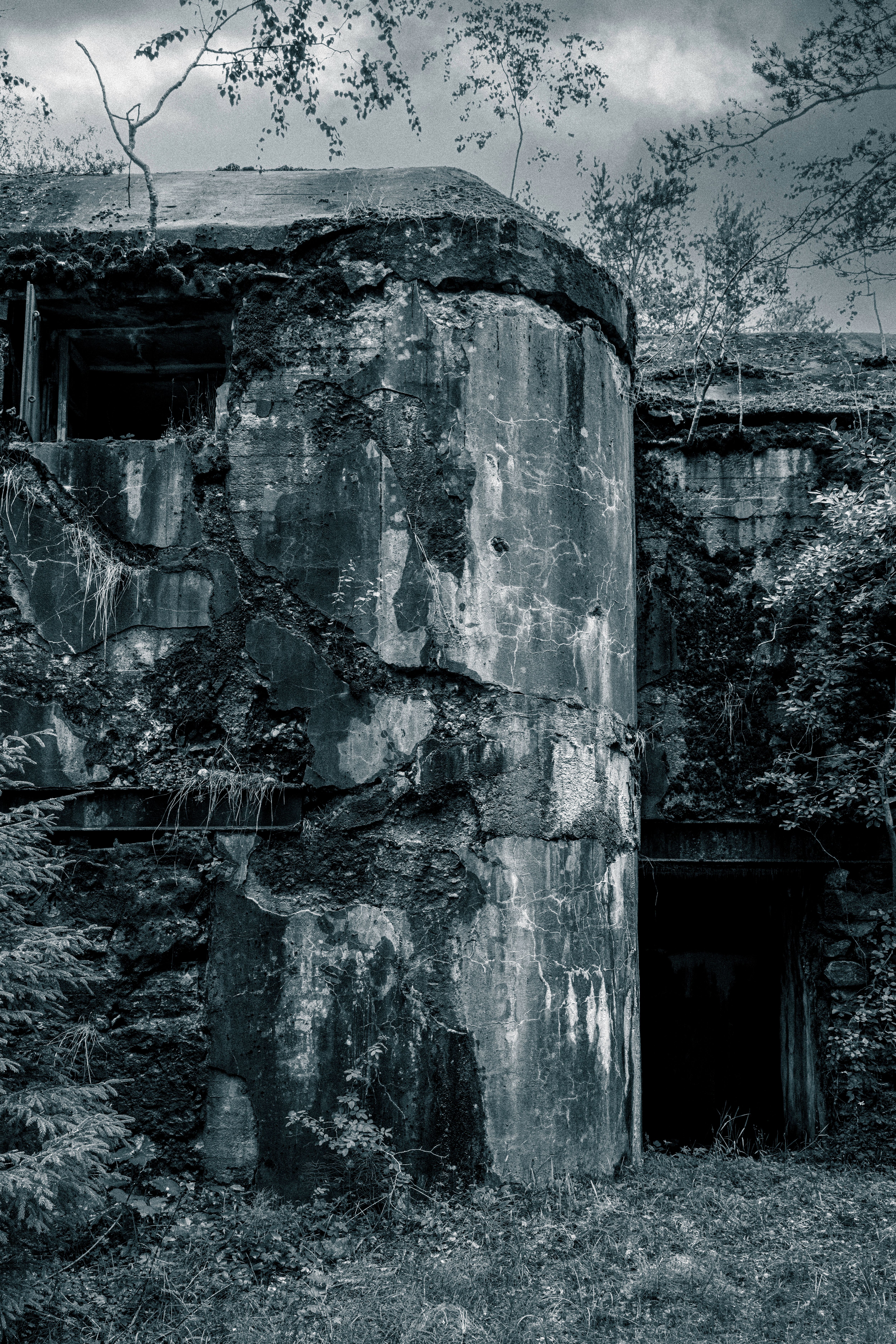 Abandoned Bunker on Naissaar Island · Free Stock Photo