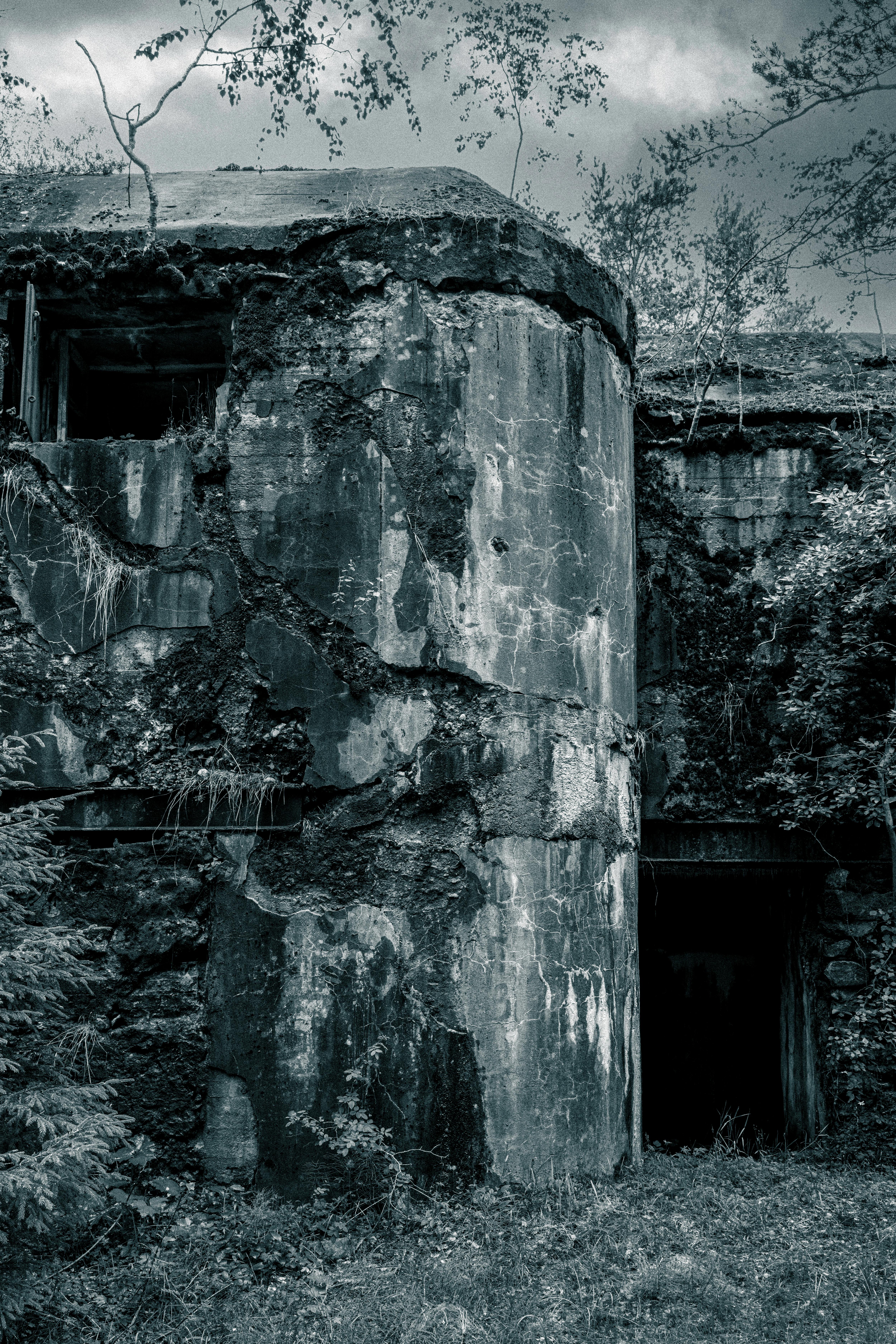 Búnker Abandonado En La Isla Naissaar · Foto de stock gratuita