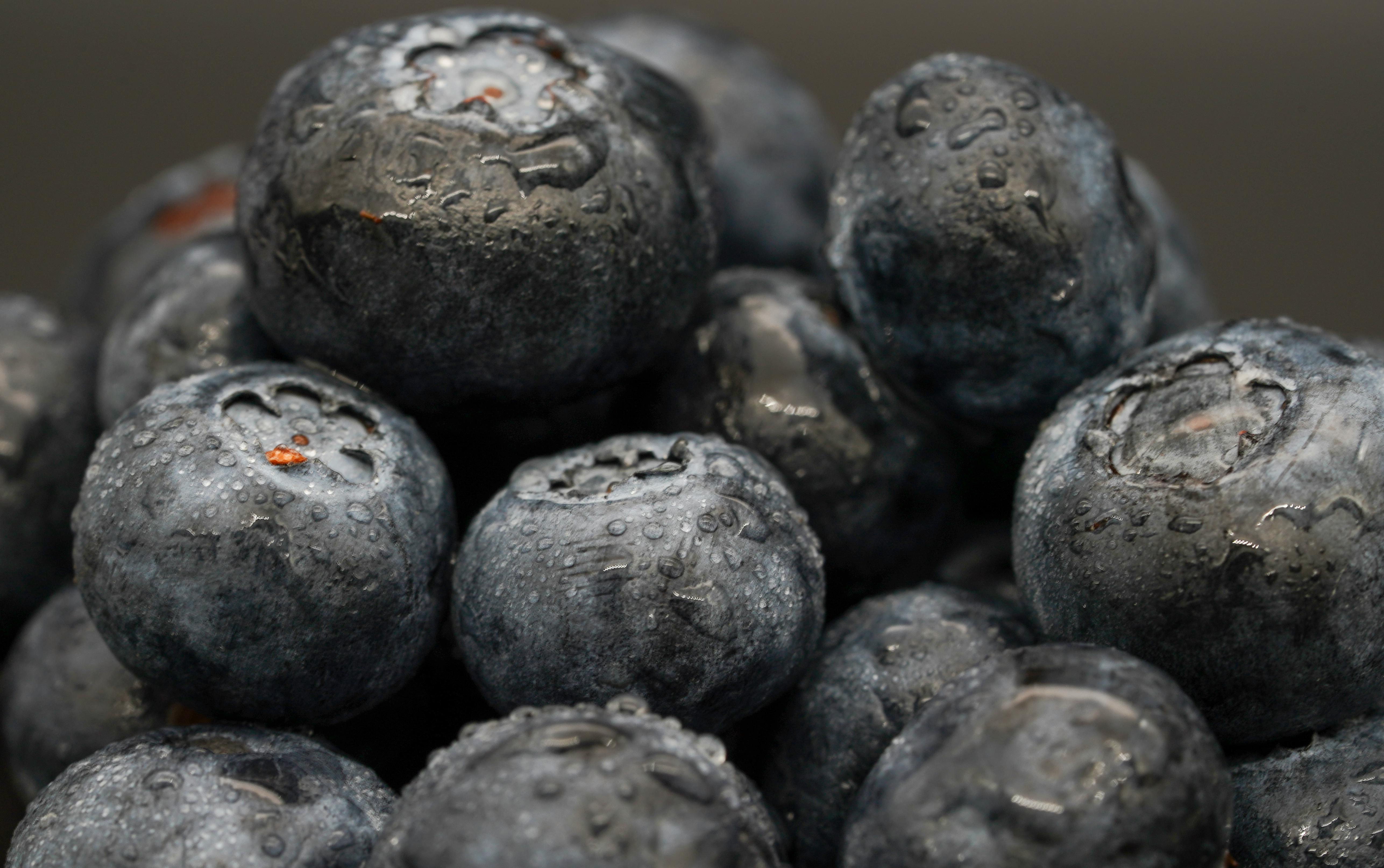 Baies Fraîches · Photo gratuite