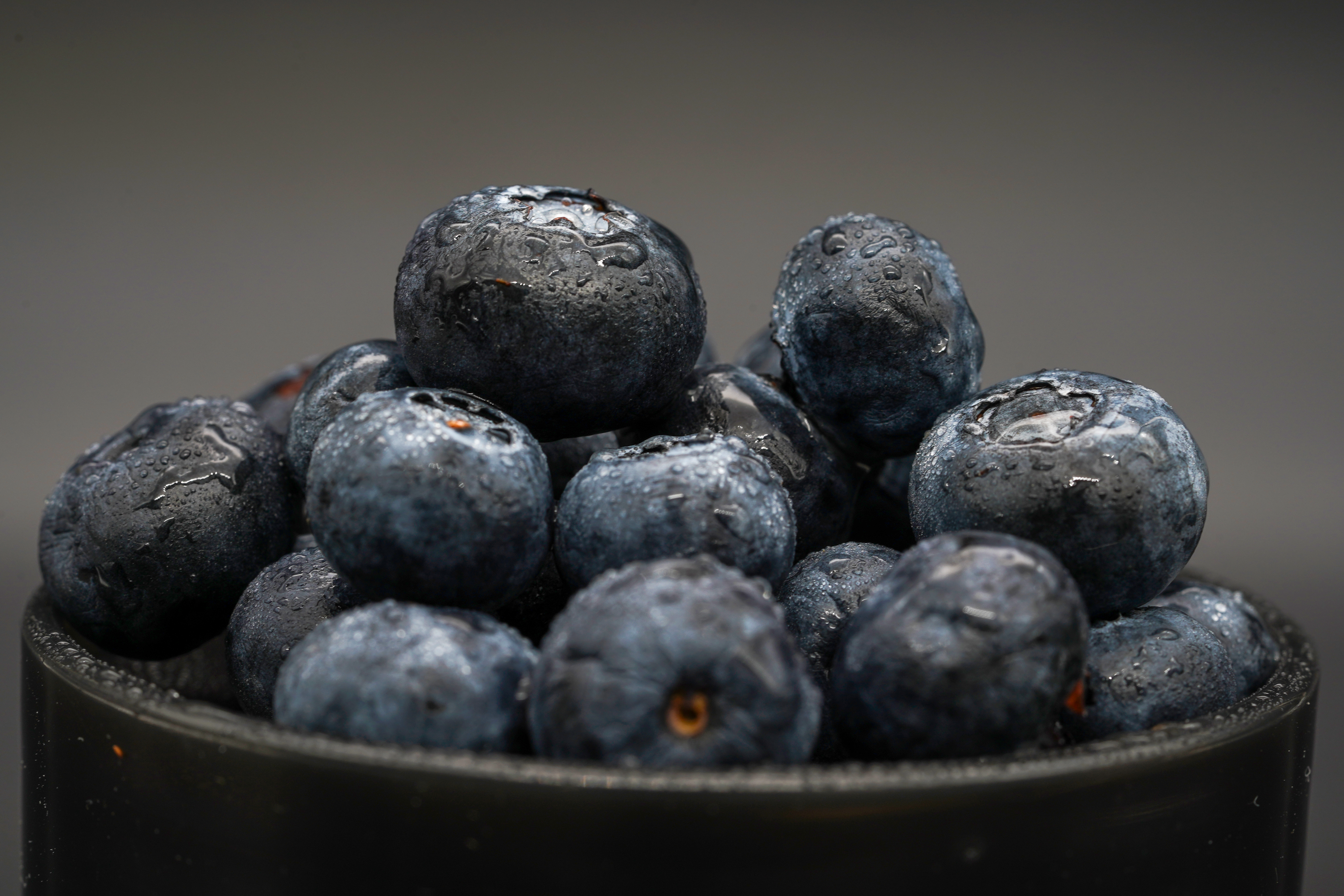 Blueberry Lot · Free Stock Photo